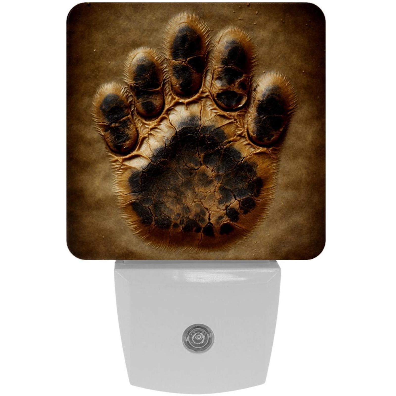 Paw prints LED Square Night Light - Energy Efficient and Stylish ...