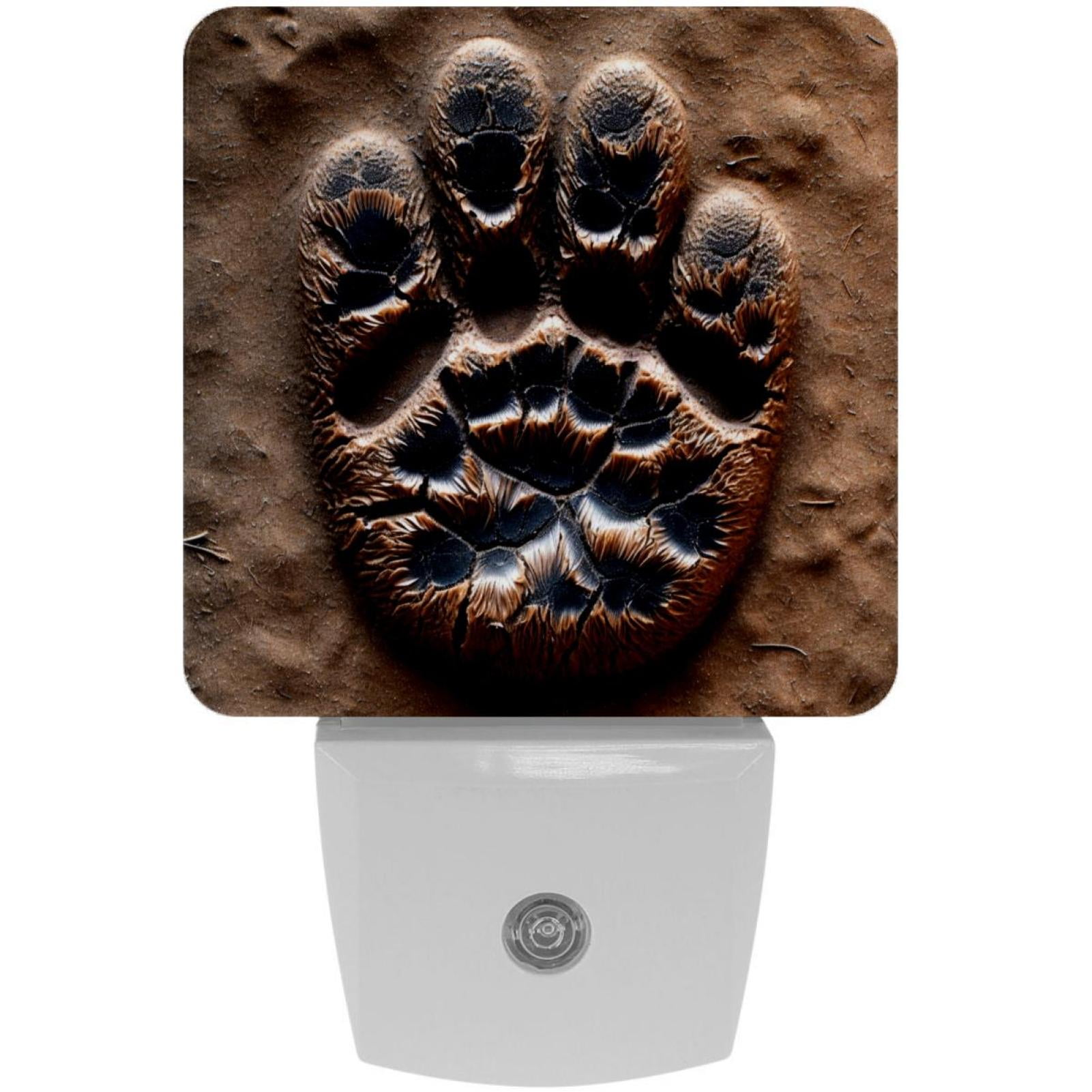 Paw prints LED Square Night Light - Energy Efficient and Stylish ...