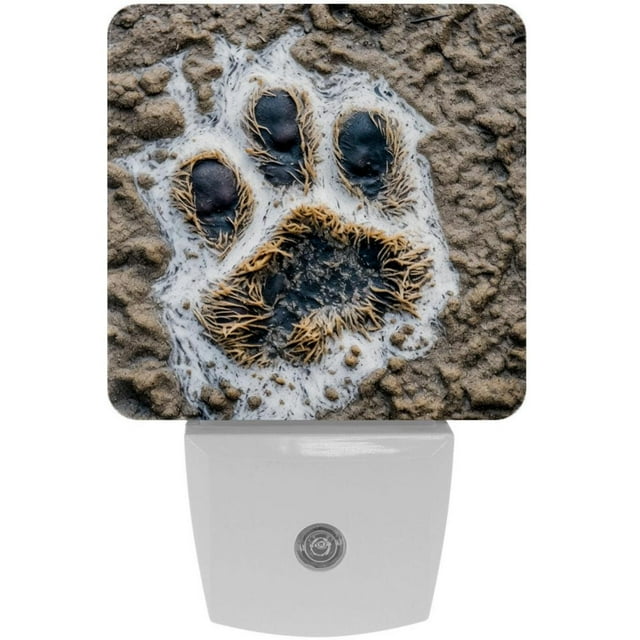 Paw prints LED Square Night Light - Energy Efficient and Stylish ...