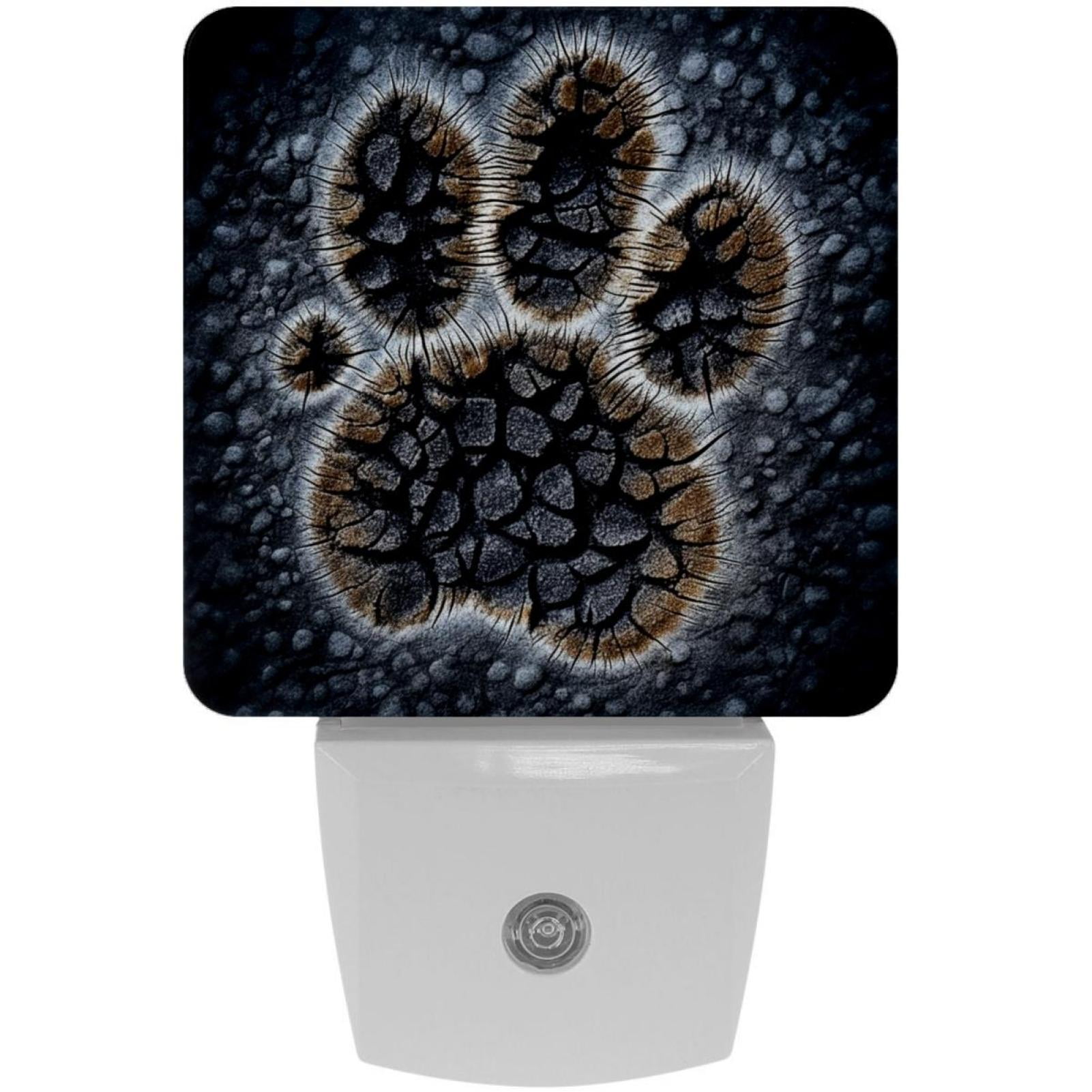 Paw prints LED Square Night Light - Soft Glow Plug-in Lamp with Dusk to ...