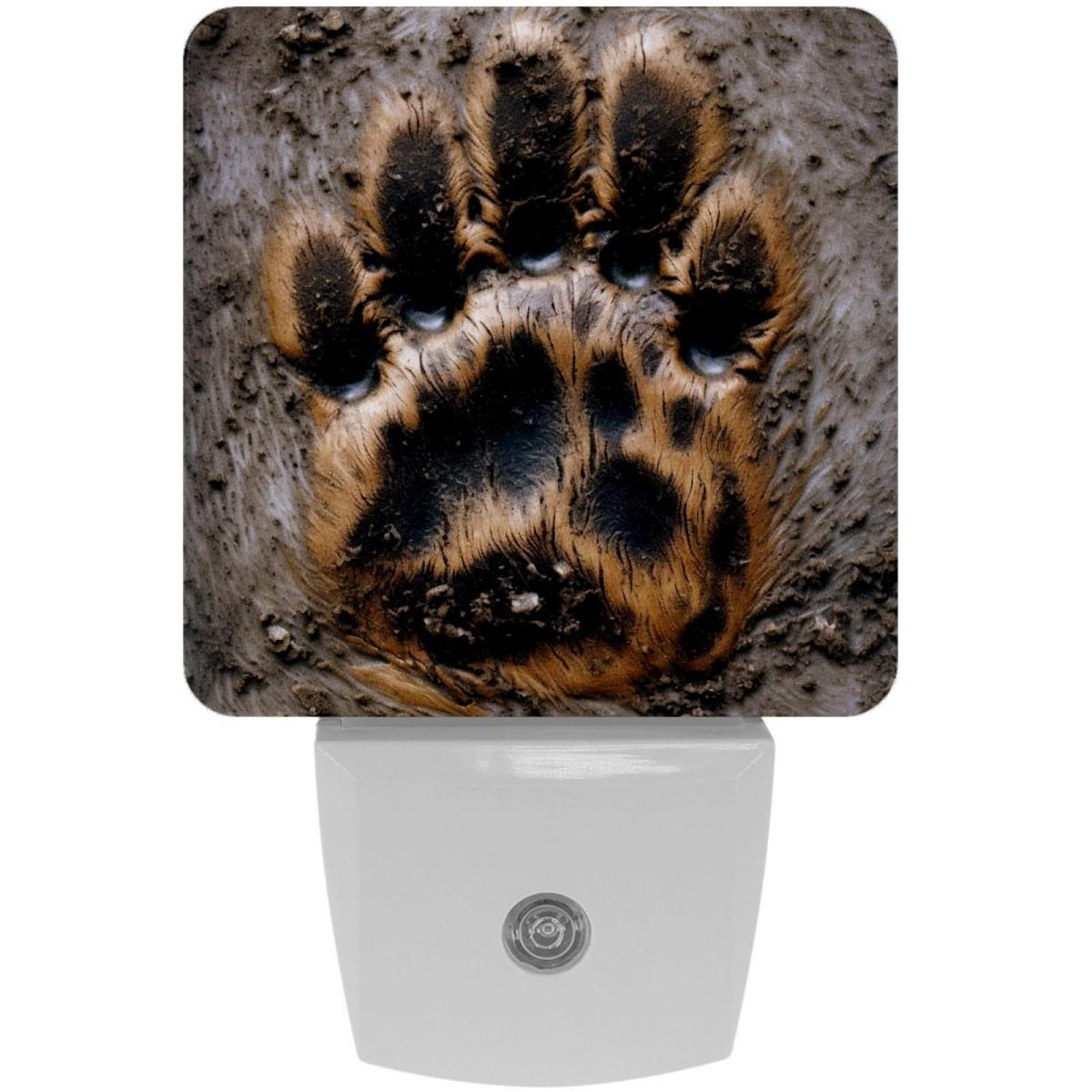 Paw prints LED Square Night Light for Bedroom and Bathroom - Energy ...