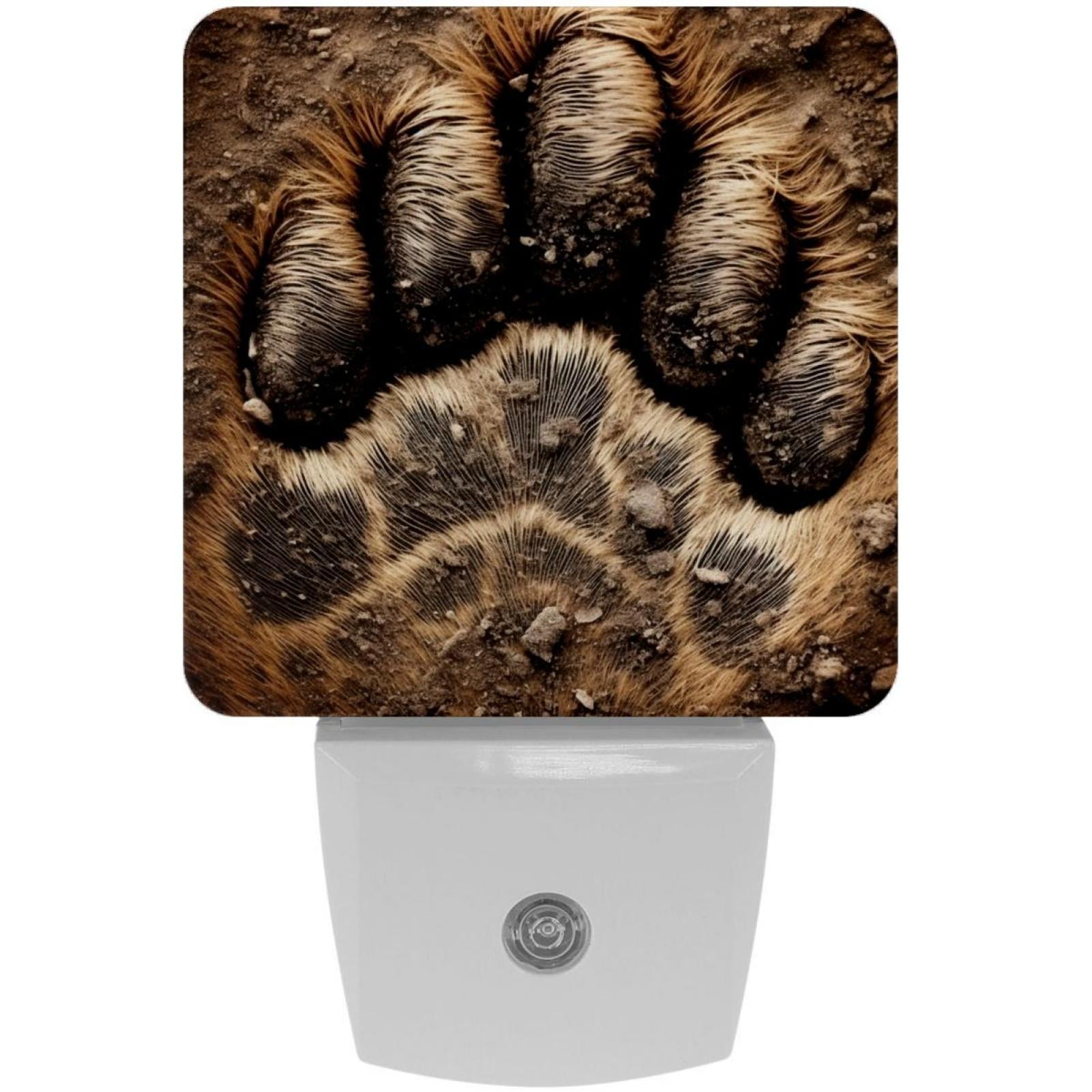 Paw prints LED Square Night Lights - Bright and Compact Bedroom or ...