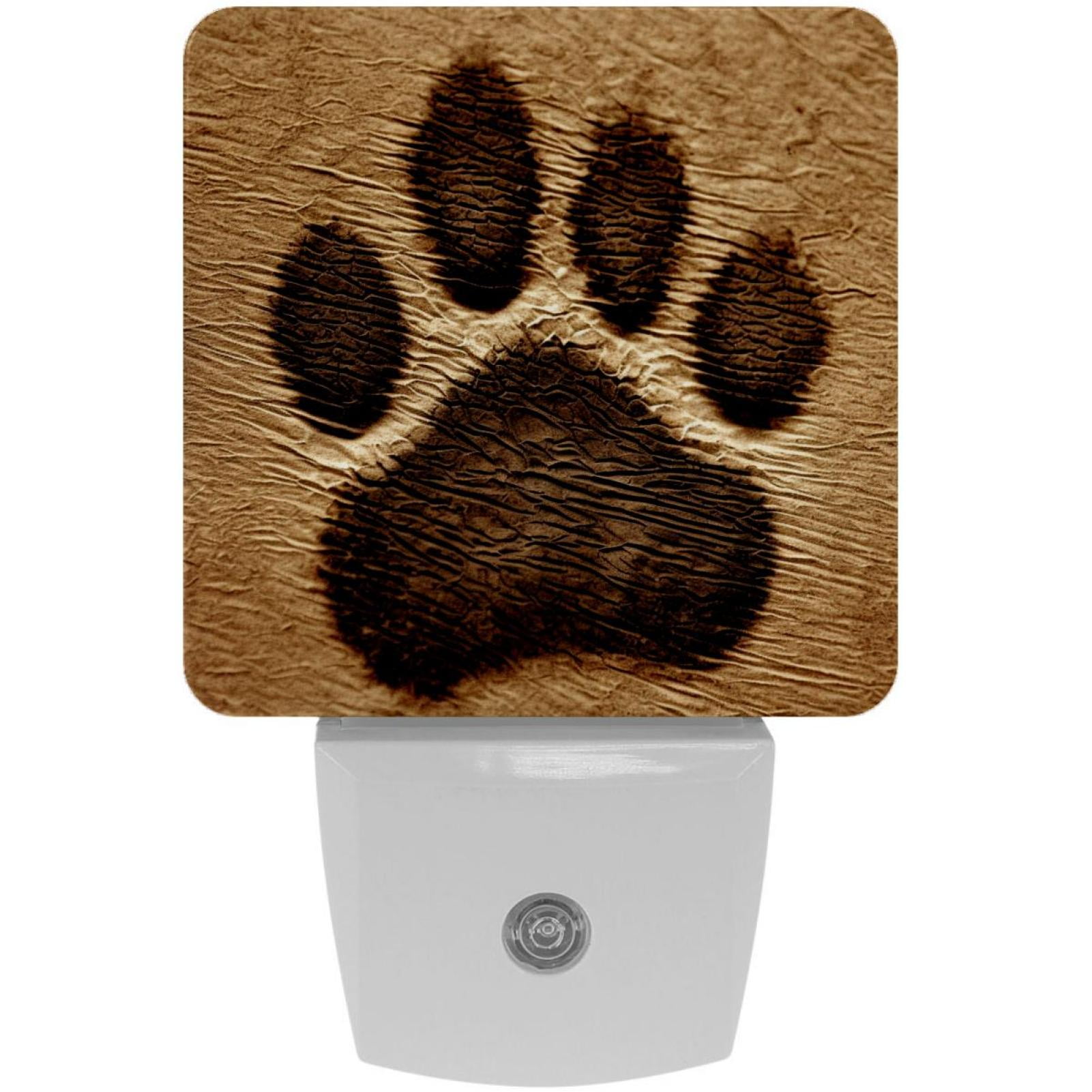 Paw prints LED Square Night Lights - Compact and Multifunctional ...