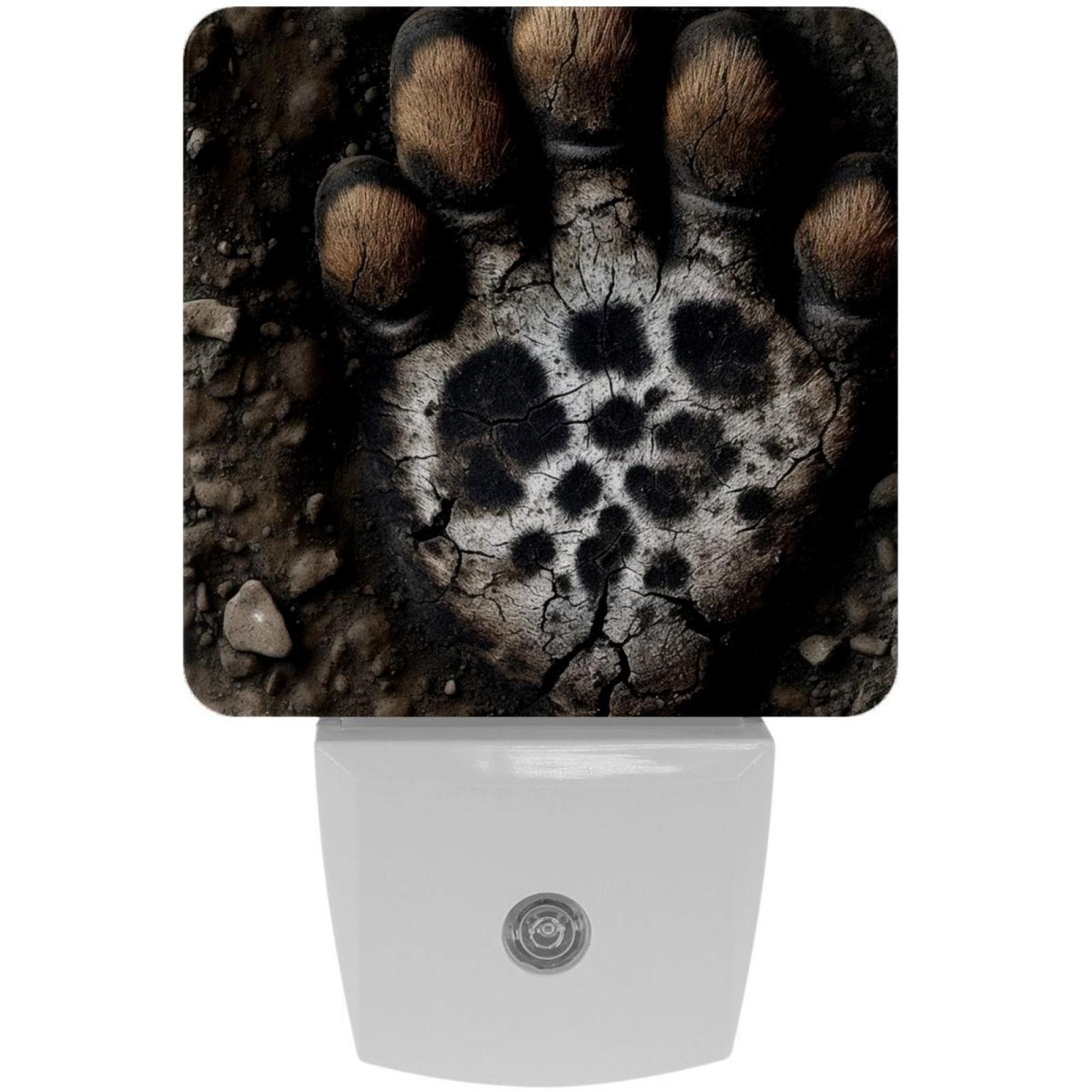 Paw prints LED Square Night Lights - Energy Efficient and Contemporary ...