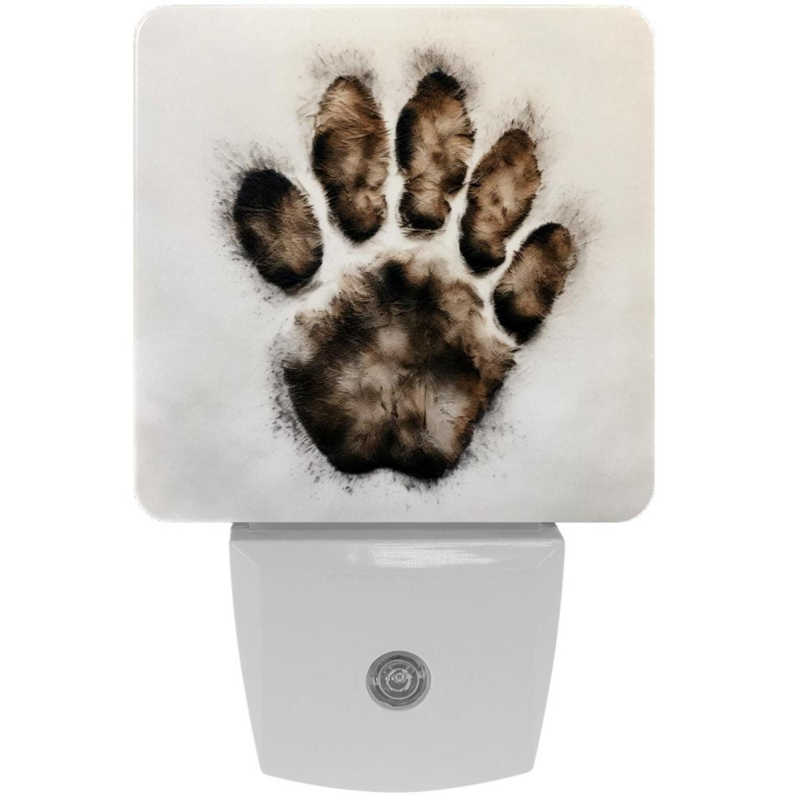 Paw prints LED Square Night Lights - Energy Efficient & Elegant ...