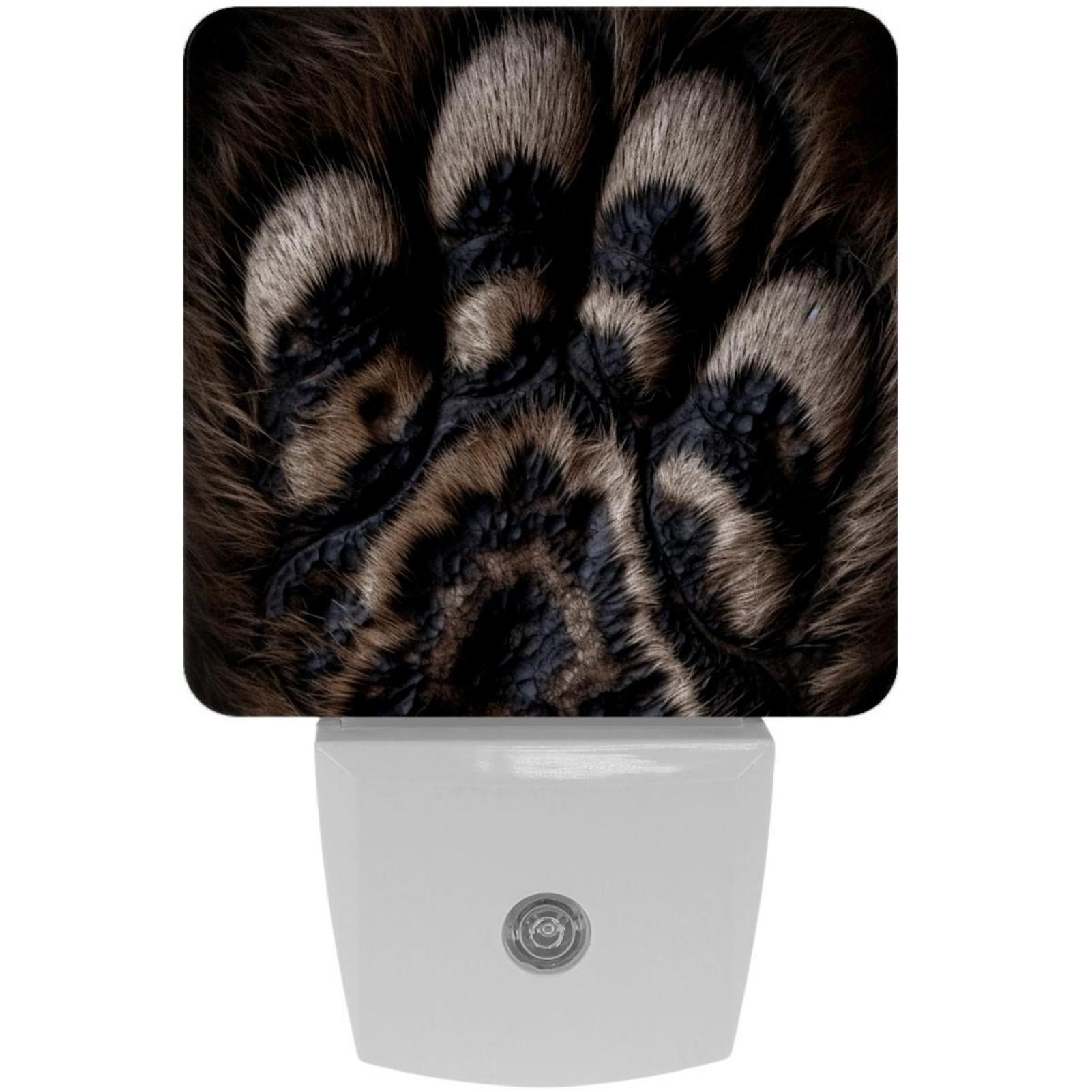 Paw prints LED Square Night Lights - Energy Efficient Plug-in Wall Lamp ...