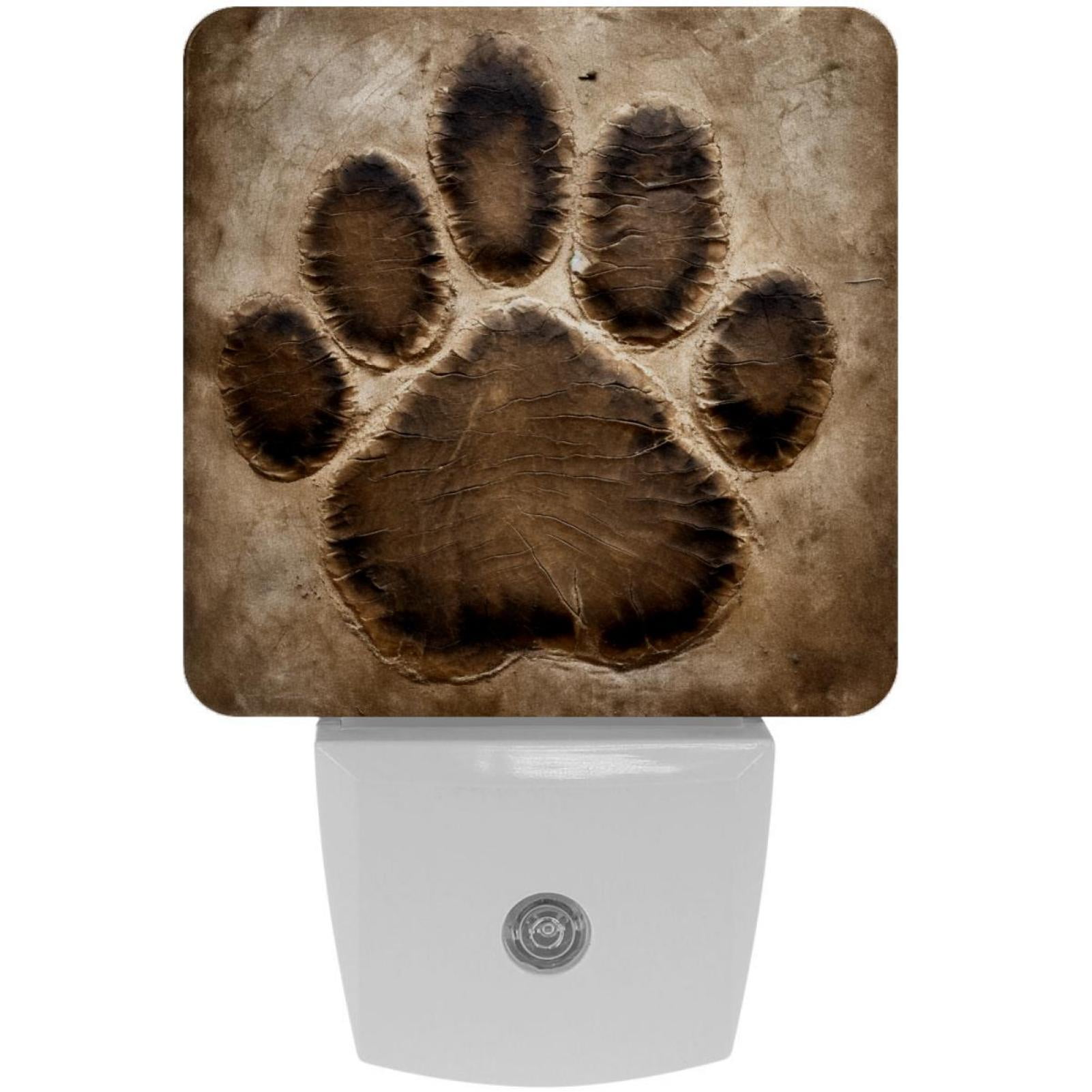 Paw prints LED Square Night Lights - Energy Efficient and Stylish ...