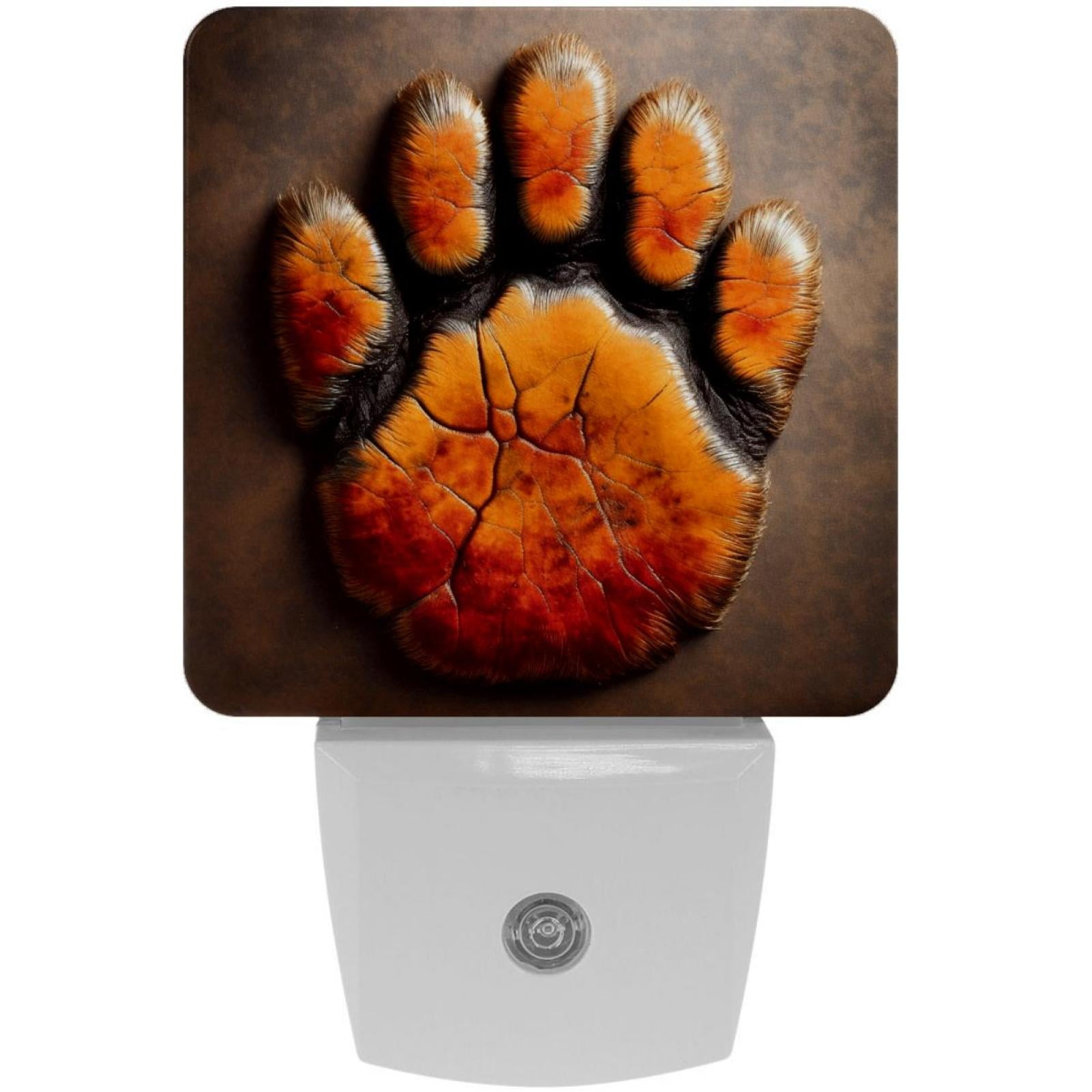 Paw prints LED Square Night Lights - Energy Efficient and Stylish ...