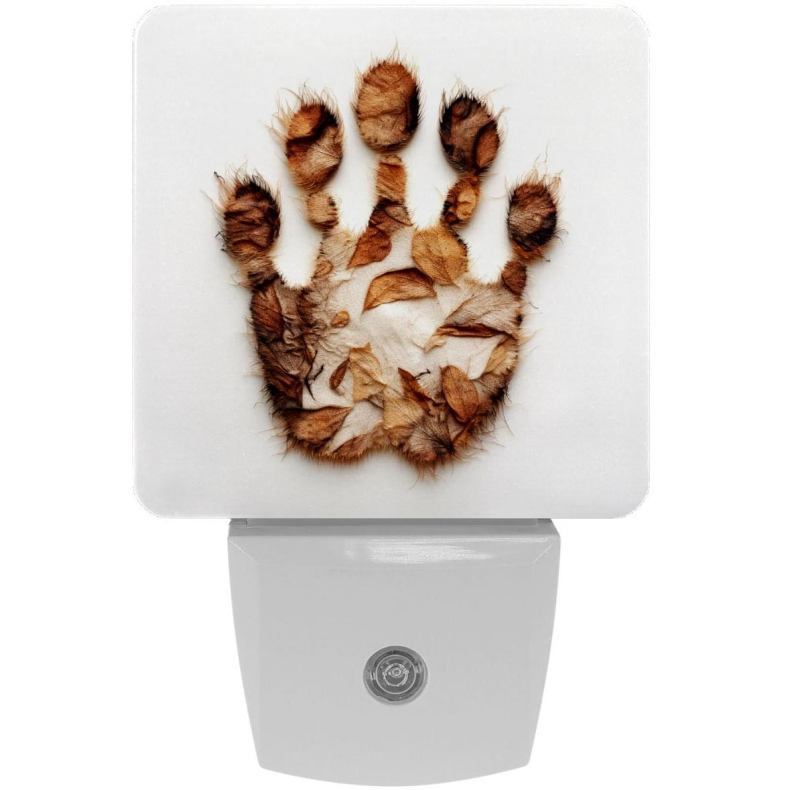 Paw prints LED Square Night Lights: Energy-Efficient and Stylish ...