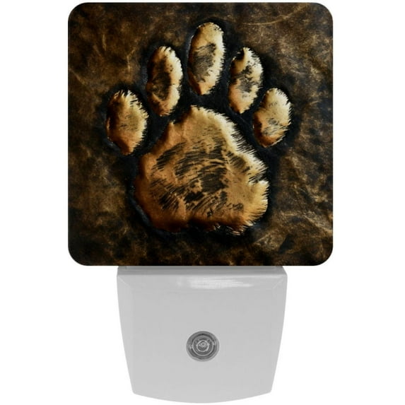 Paw prints LED Square Night Lights - Energy Efficient and Stylish Room ...