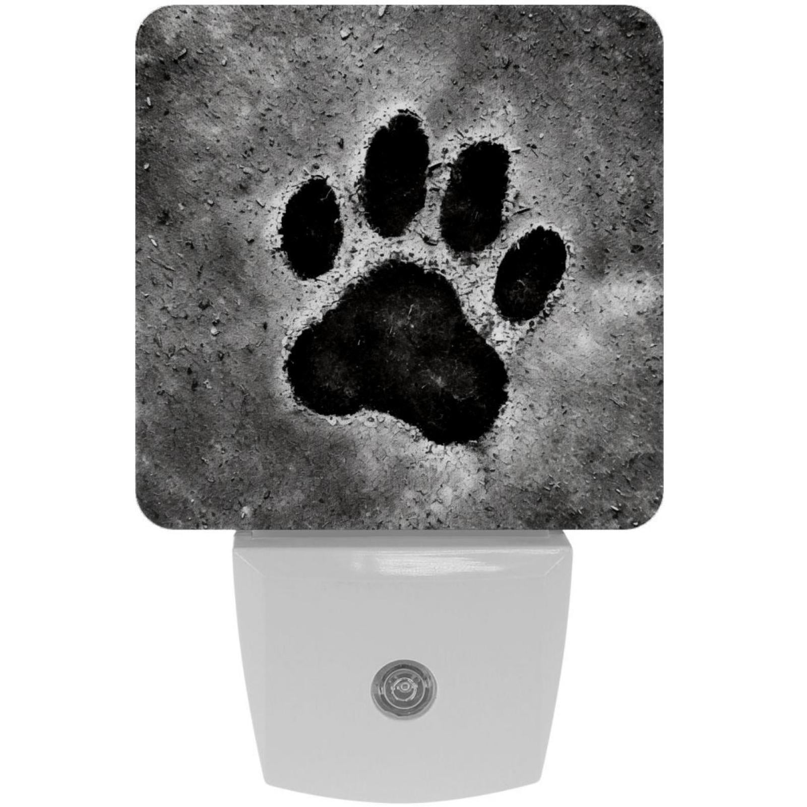 Paw prints LED Square Night Lights - Modern and Energy Efficient Room ...
