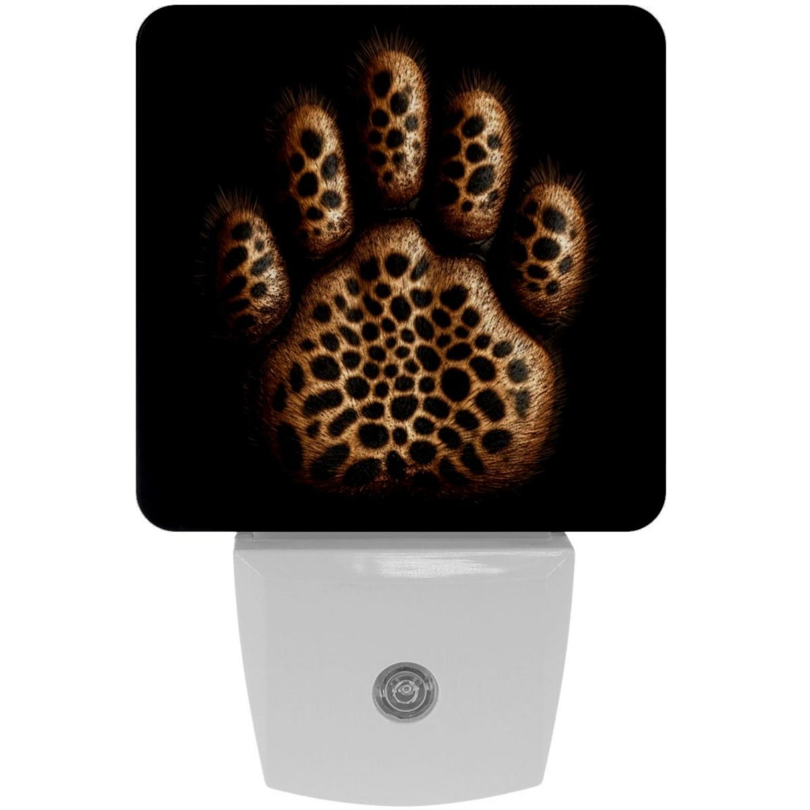 Paw prints LED Square Night Lights - Modern and Energy Efficient Room ...