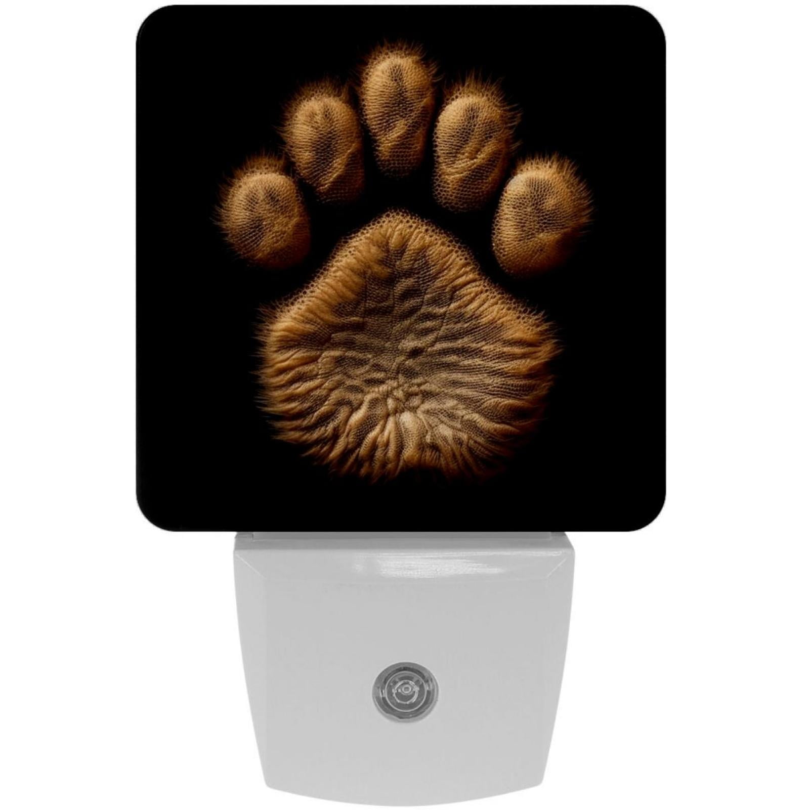 Paw prints LED Square Night Lights - Modern and Versatile Plug-in ...