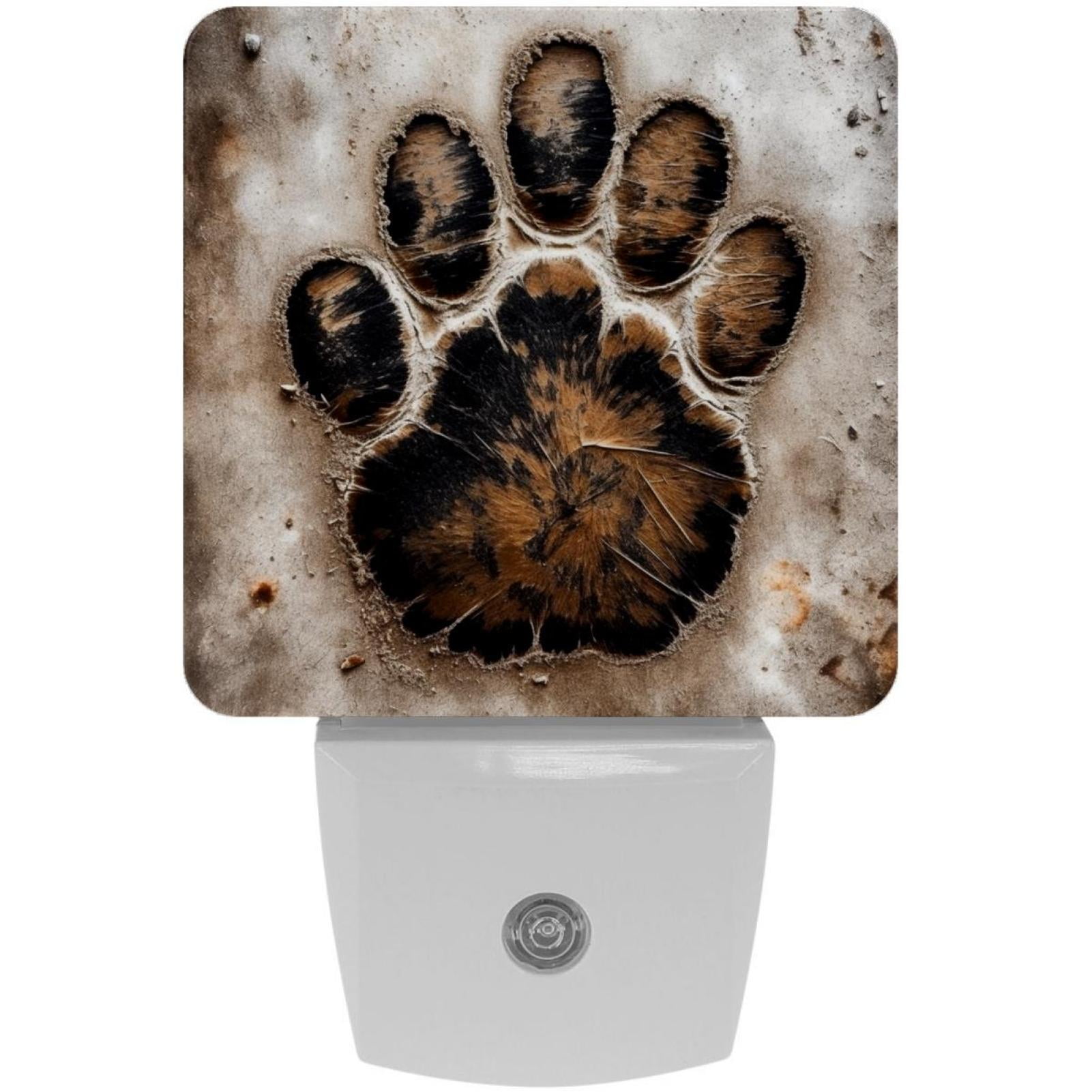 Paw prints LED Square Night Lights - Portable and Stylish for Bedroom ...