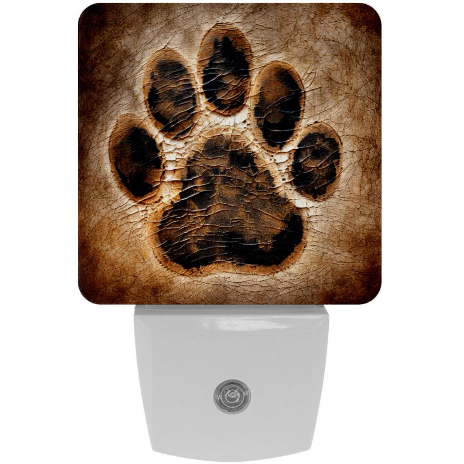 Paw prints LED Square Night Lights - Small and Bright Illumination for ...