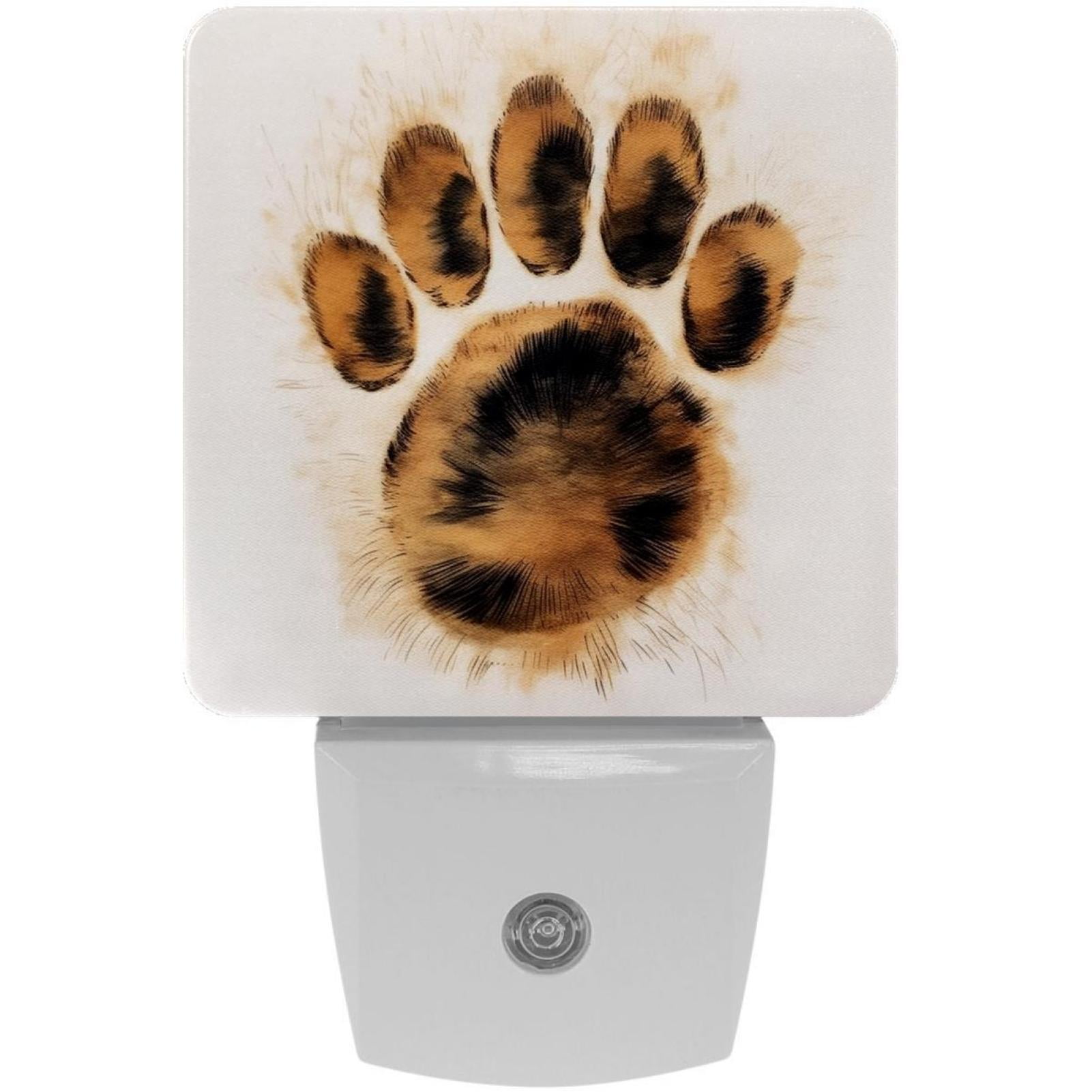 Paw prints LED Square Night Lights - Small and Bright Illumination for ...