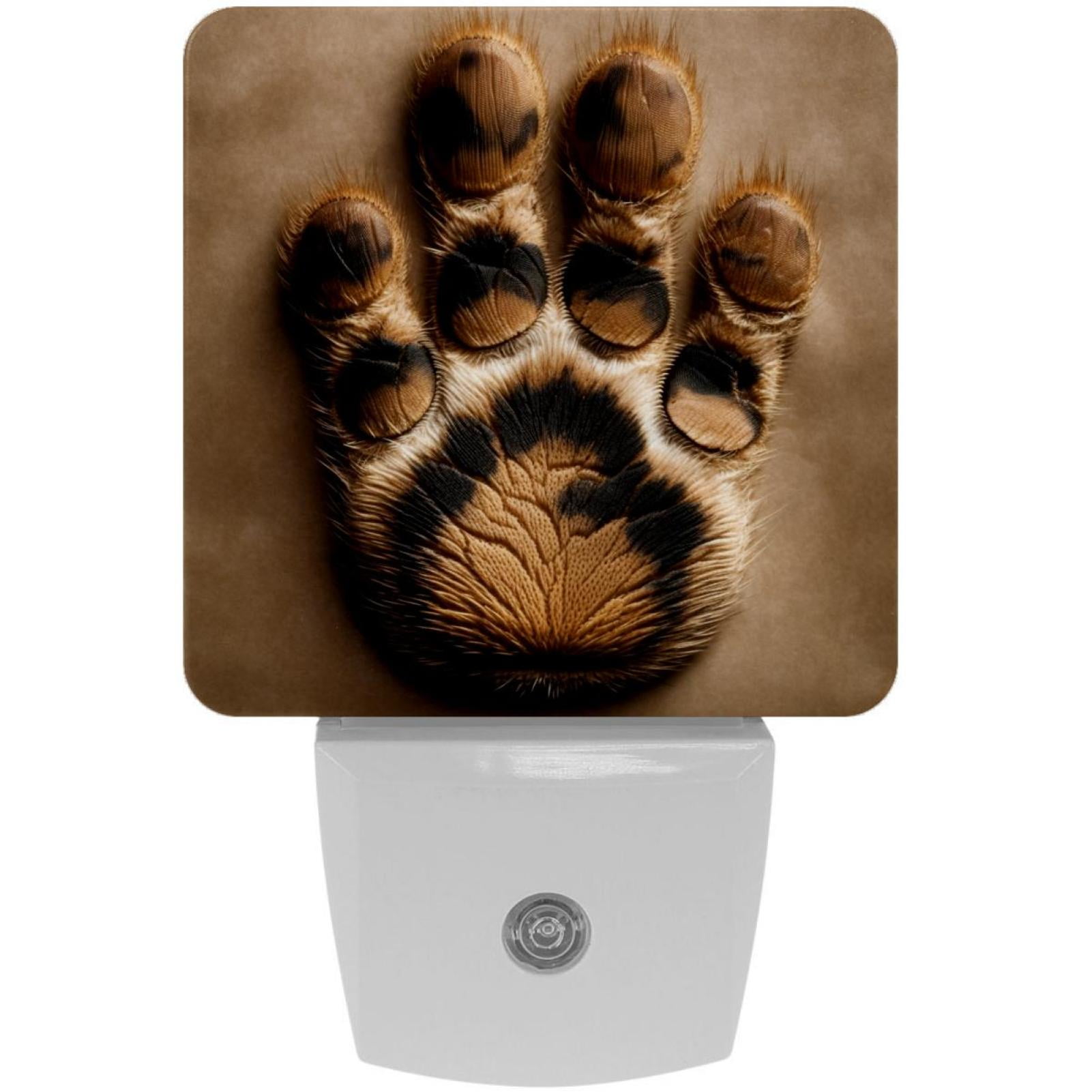 Paw prints LED Square Night Lights - Small and Stylish Energy-Saving ...