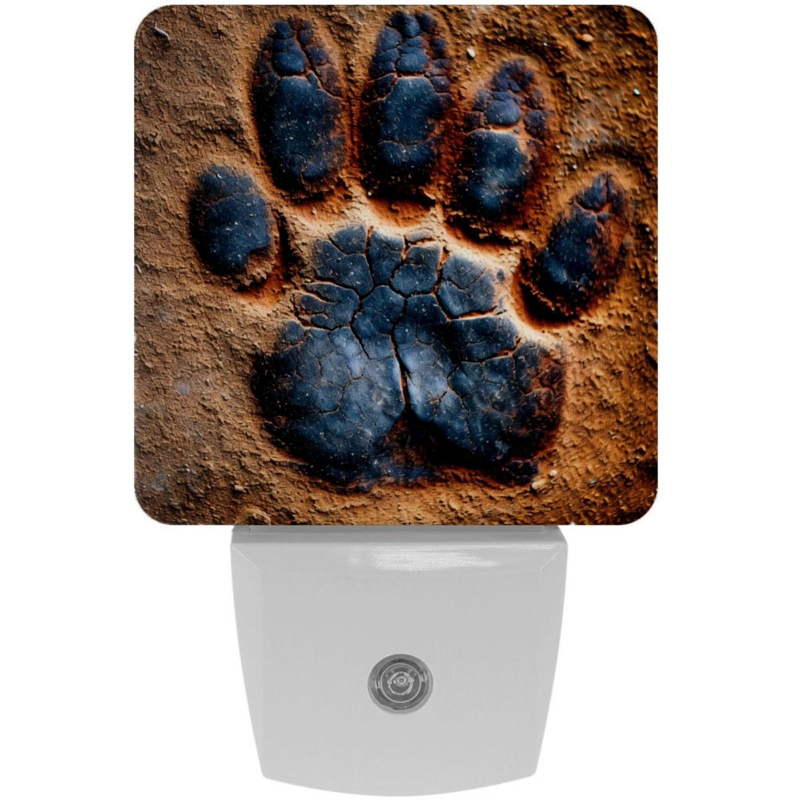 Paw prints LED Square Night Lights - Stylish and Convenient ...
