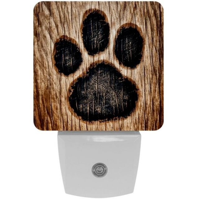 Paw prints LED Square Night Lights - Stylish and Convenient ...