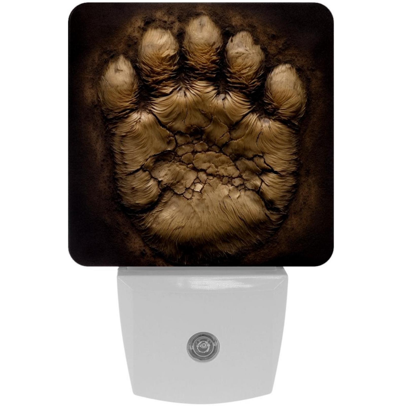 Paw prints LED Square Night Lights - Stylish and Energy-Efficient ...