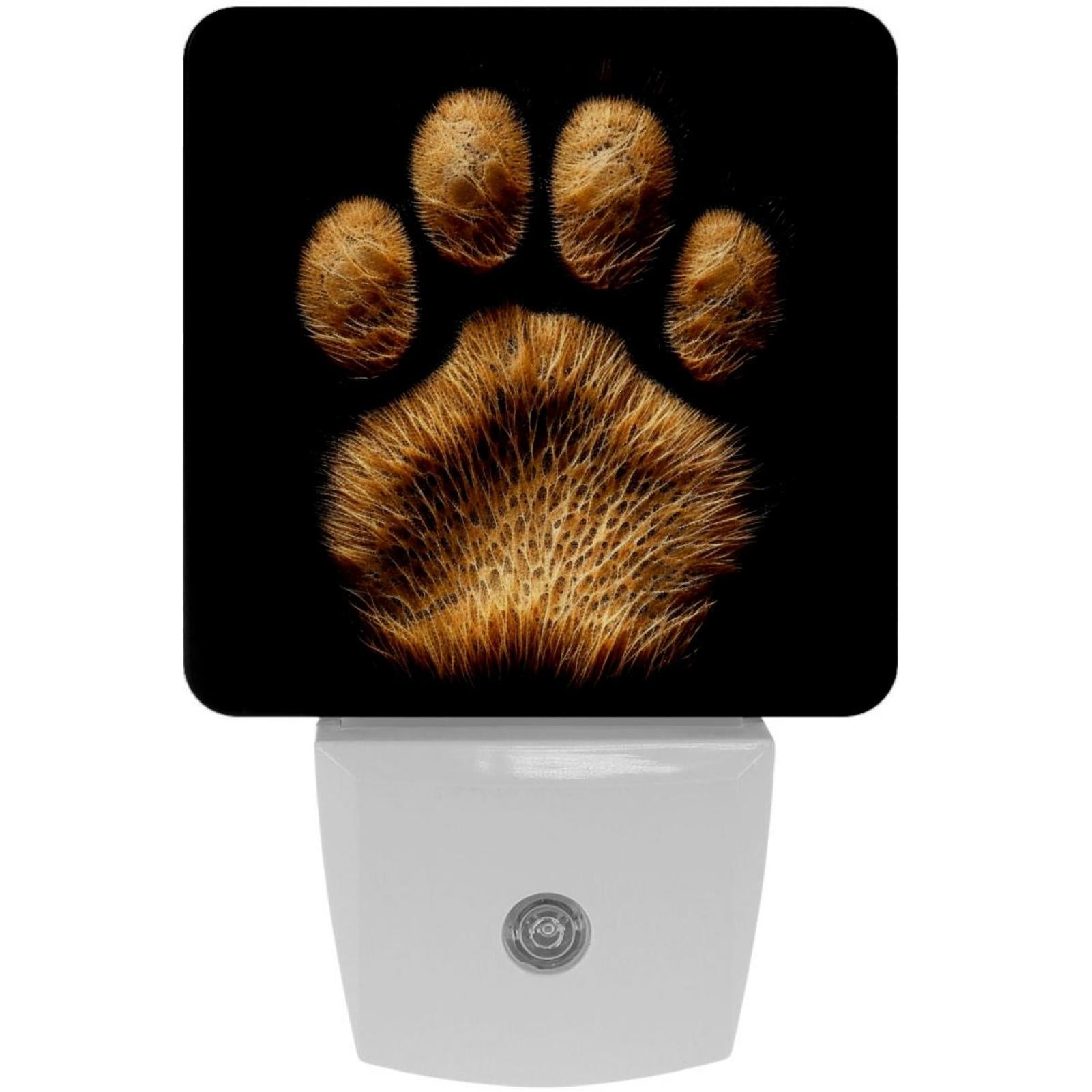 Paw prints LED Square Night Lights - Stylish and Energy-Efficient ...