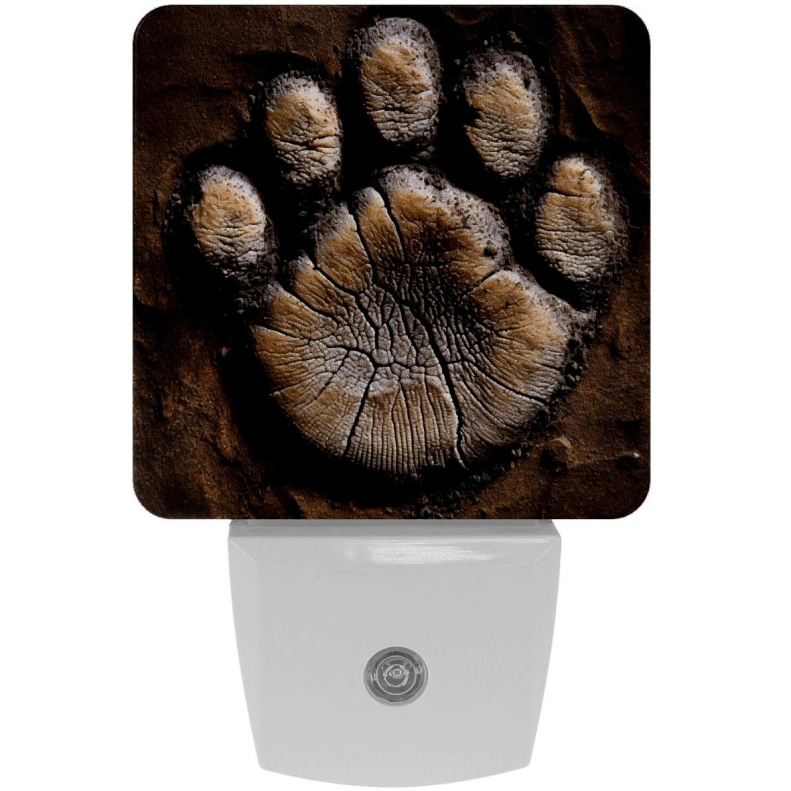 Paw prints LED Square Night Lights - Stylish and Energy-Efficient Room ...