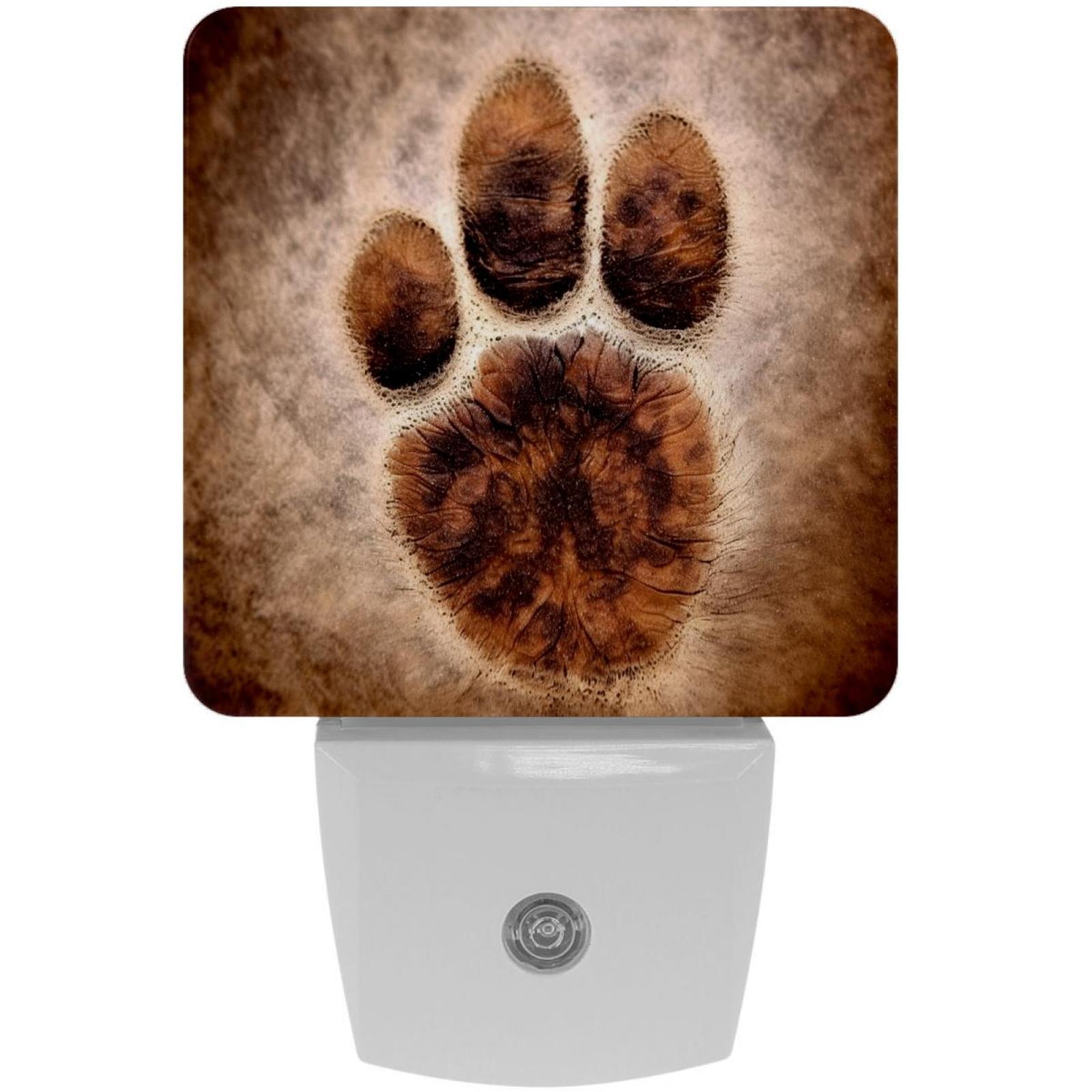Paw prints LED Square Night Lights - Stylish and Functional Nightlight ...