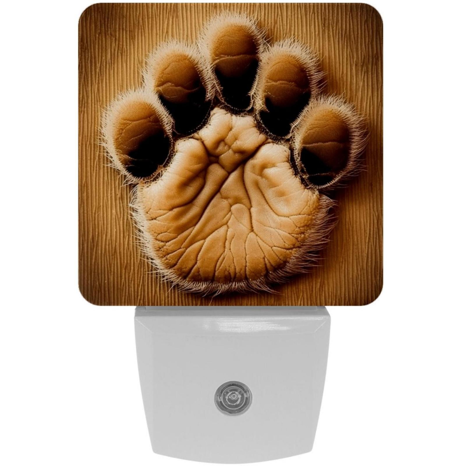 Paw prints LED Square Night Lights with Motion Sensor - Modern and ...