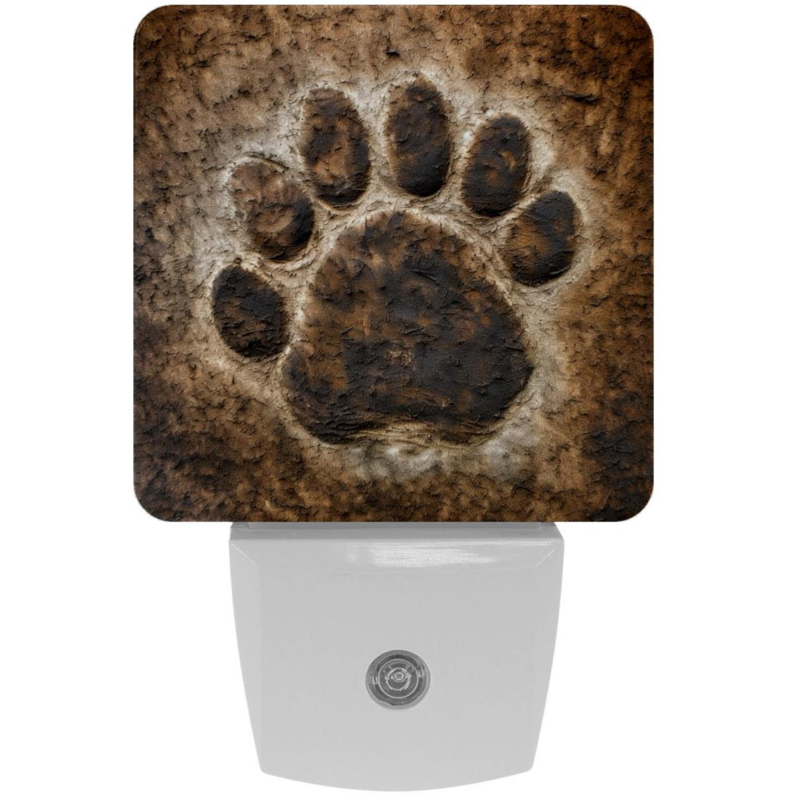 Paw prints Square LED Night Lights - Small, Portable Lighting for Any ...