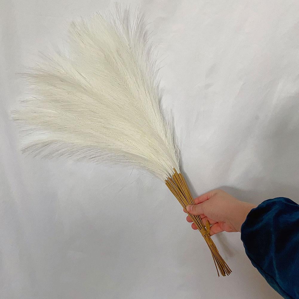 PawCasa 10pcs Artificial Pampas Grass Fluffy Plants Bouquet for DIY ...