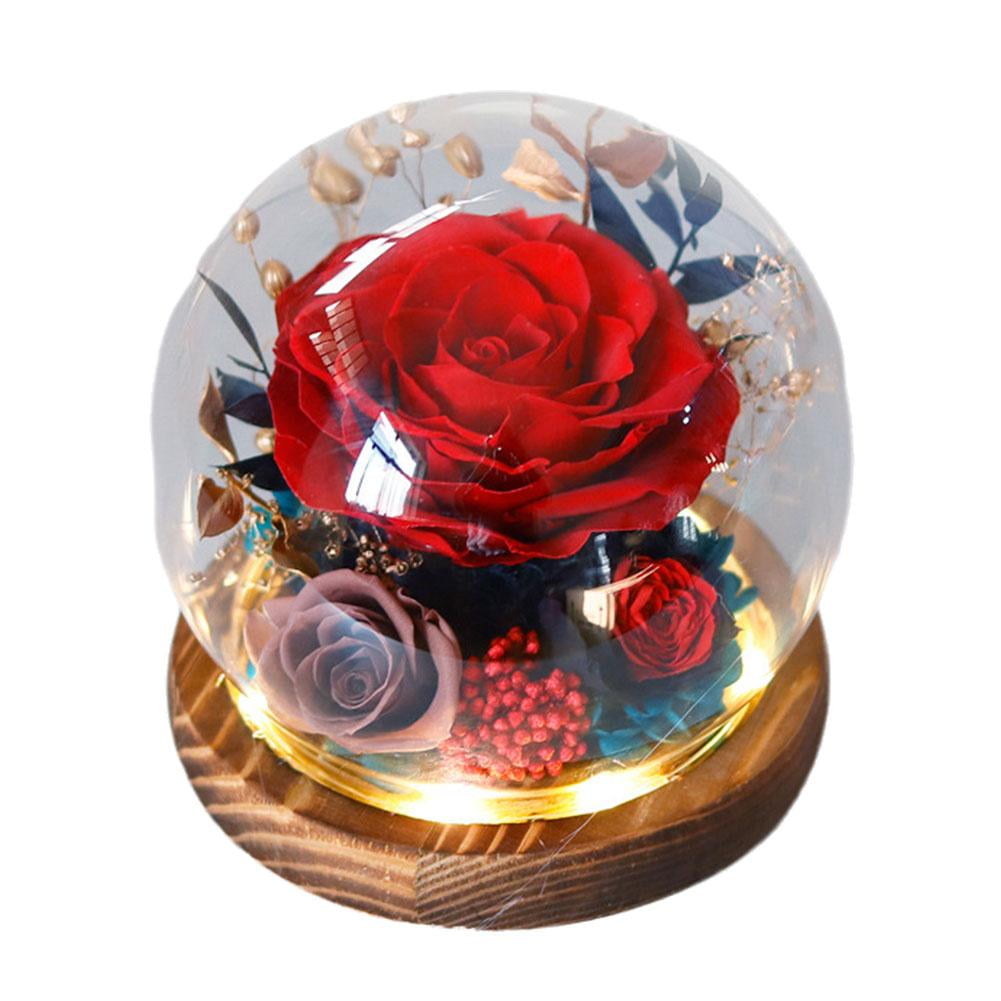 PawCasa ique Color Changing Lipsti Longlasting Hydration G X3I5 ...