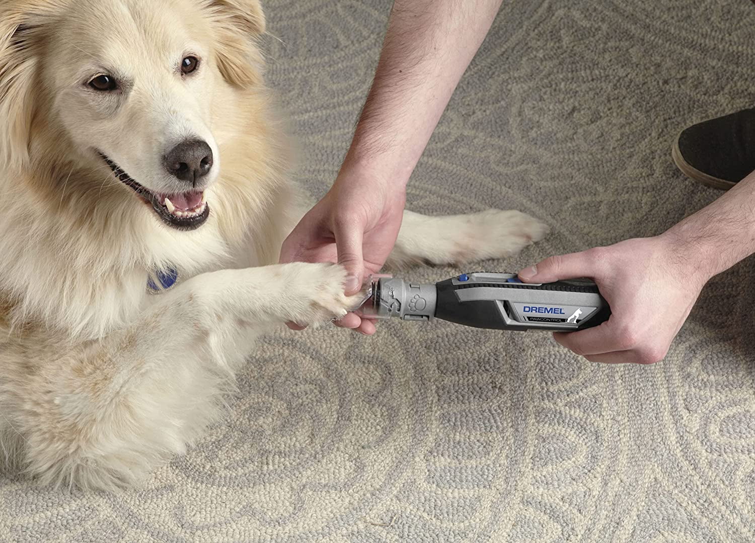 PawControl 7760-PGK Dog Nail Grinder and Trimmer - Cordless ...