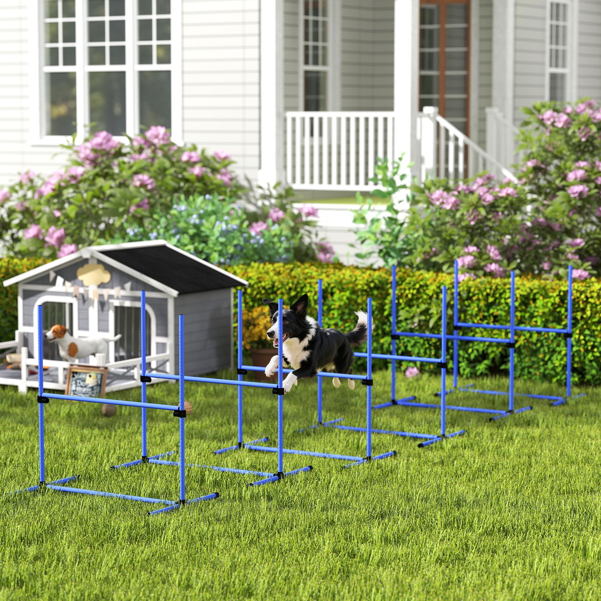 PawHut 6 Piece Dog Agility Set with Adjustable Height Jump Bars, Blue ...