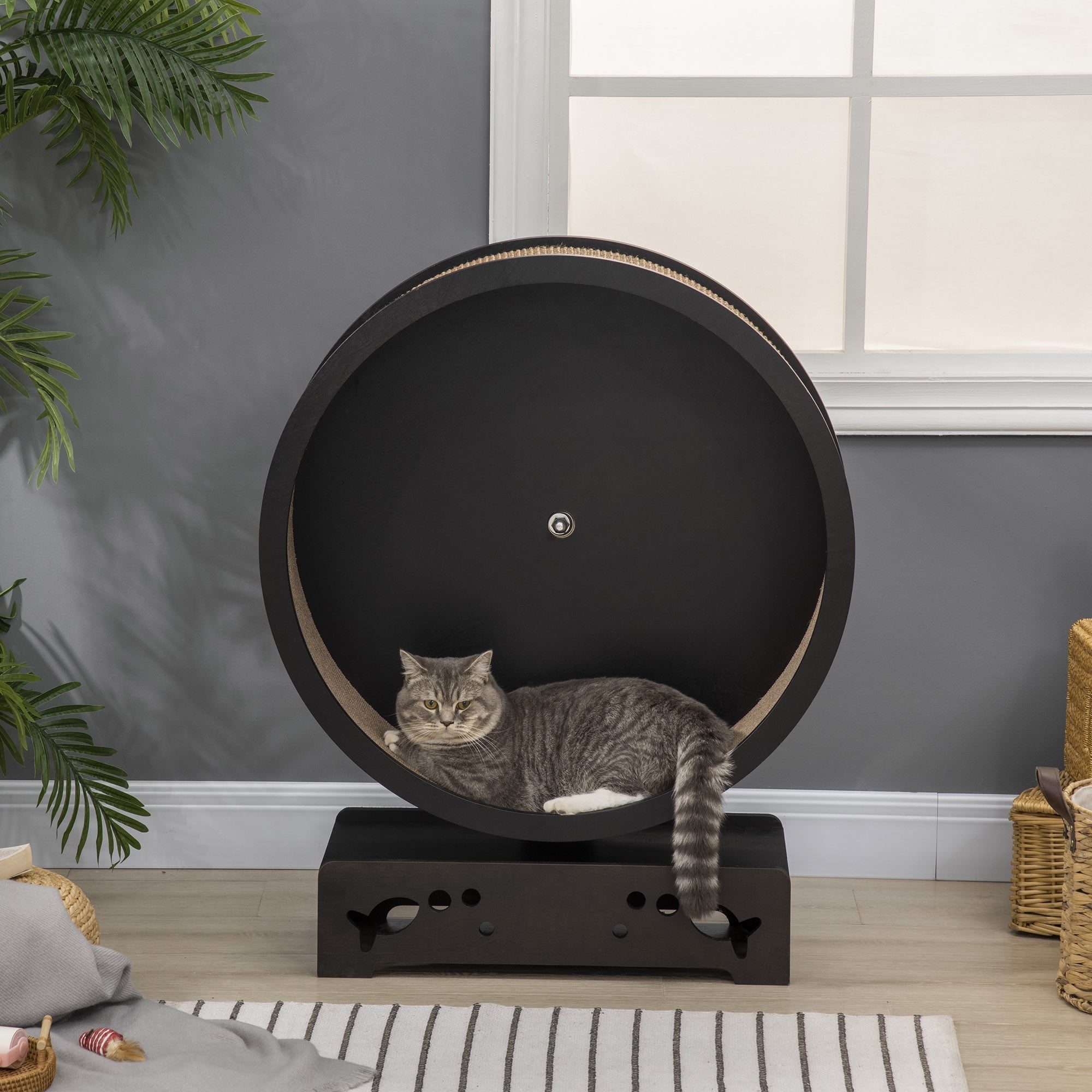PawHut Cat Exercise Wheel Treadmill and Cat Scratcher - Walmart.com