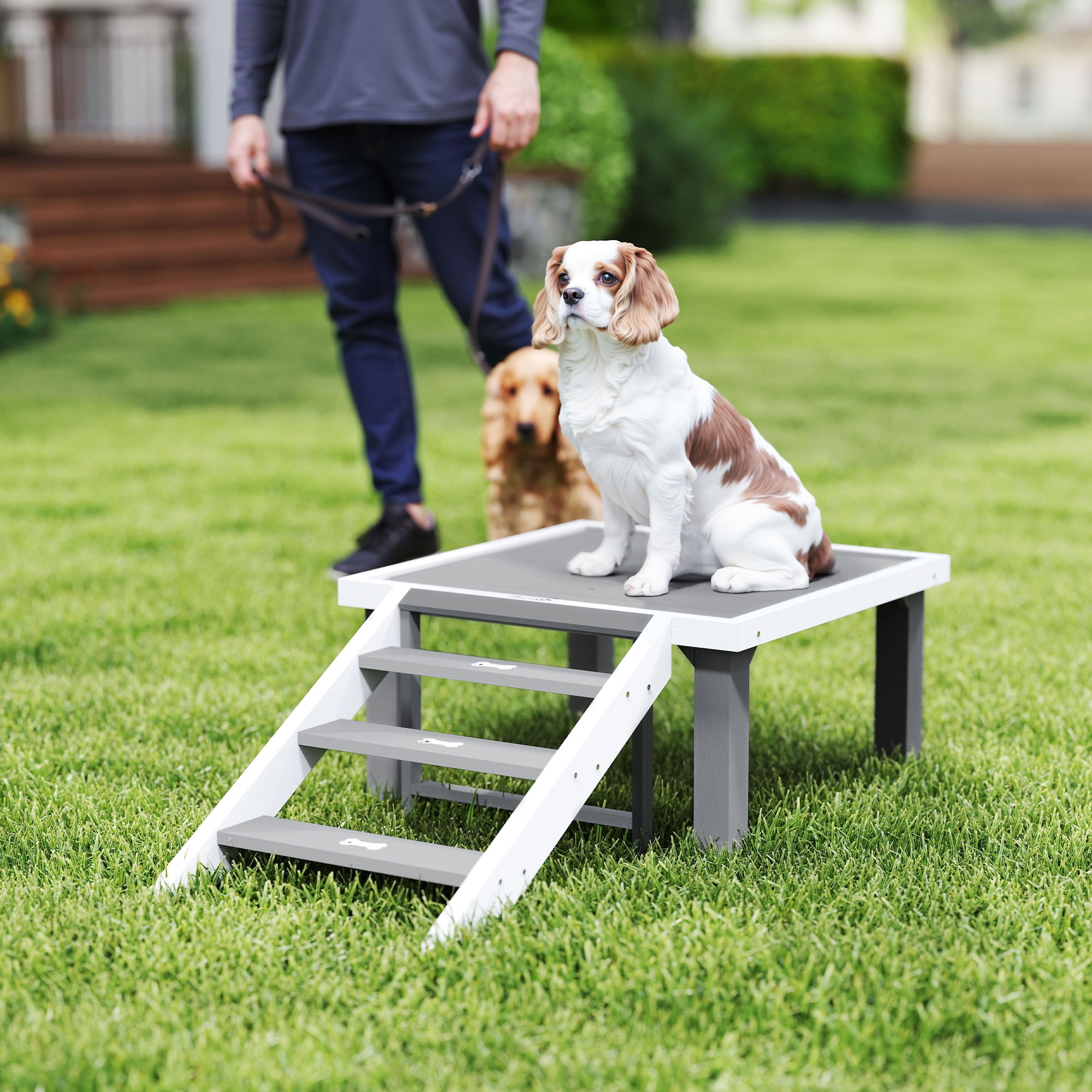PawHut Wooden Dog Training Place Board, Dog Training Platform with ...