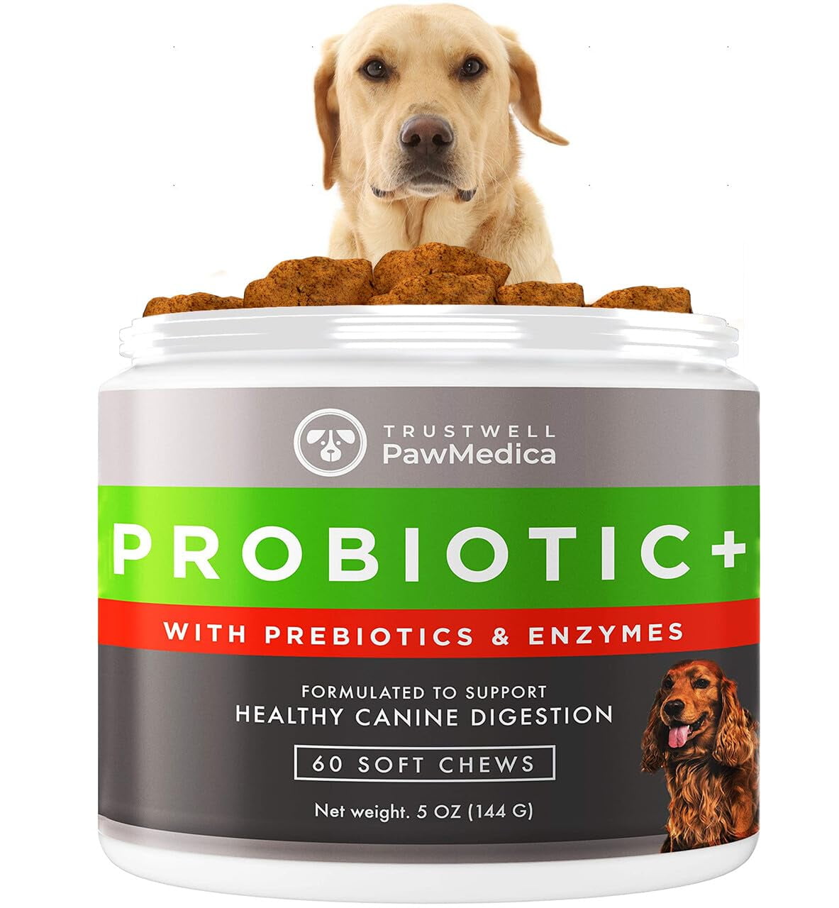 PawMedica Dog Probiotics and Digestive Enzymes, ATT1Probiotics for in ...