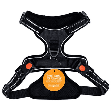 PetSafe Easy Walk No-Pull Leash Training Dog Harness, Large, Raspberry ...