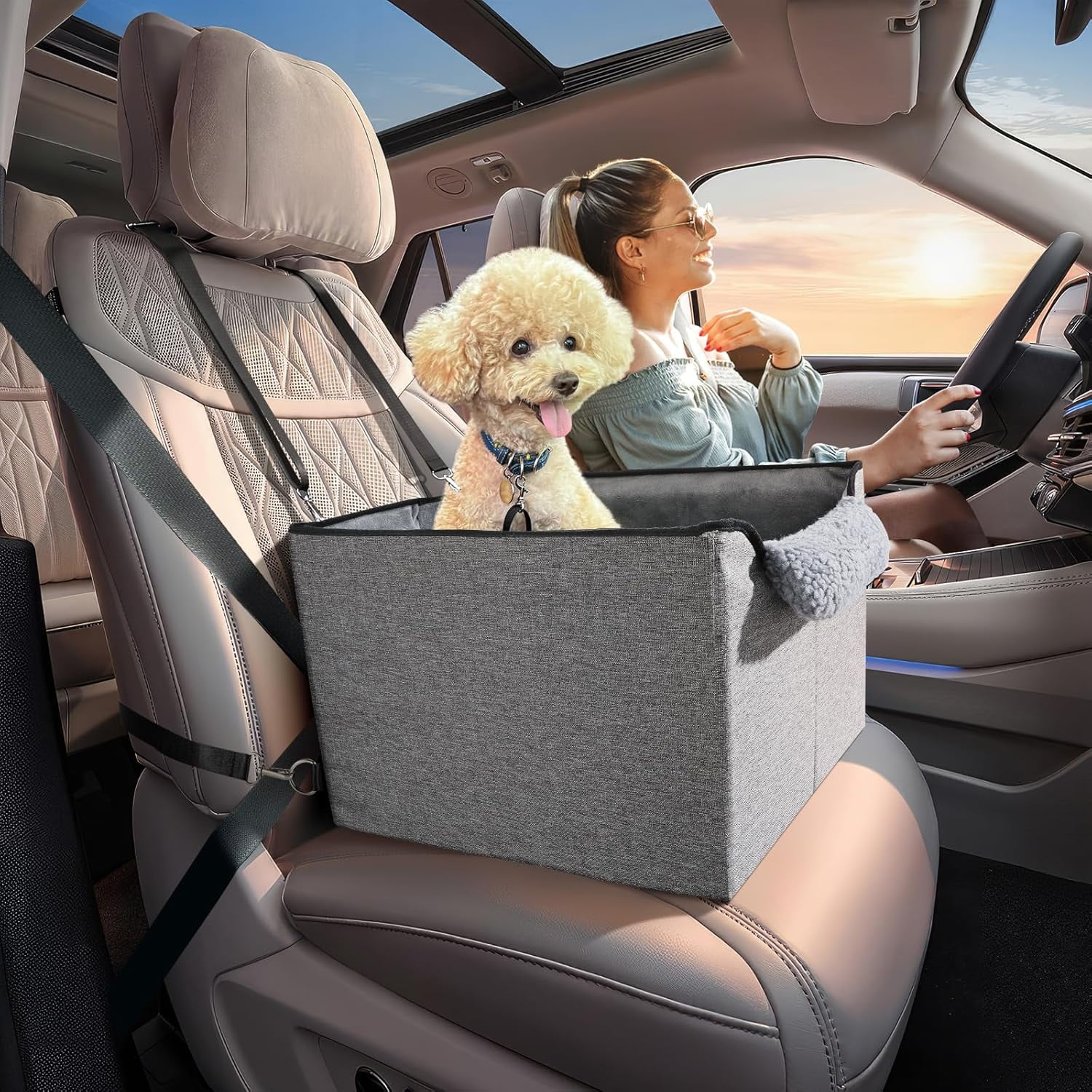 Pawaboo Dog Booster Car Seat for Front/Back Seats, Small Dog Car Seat ...
