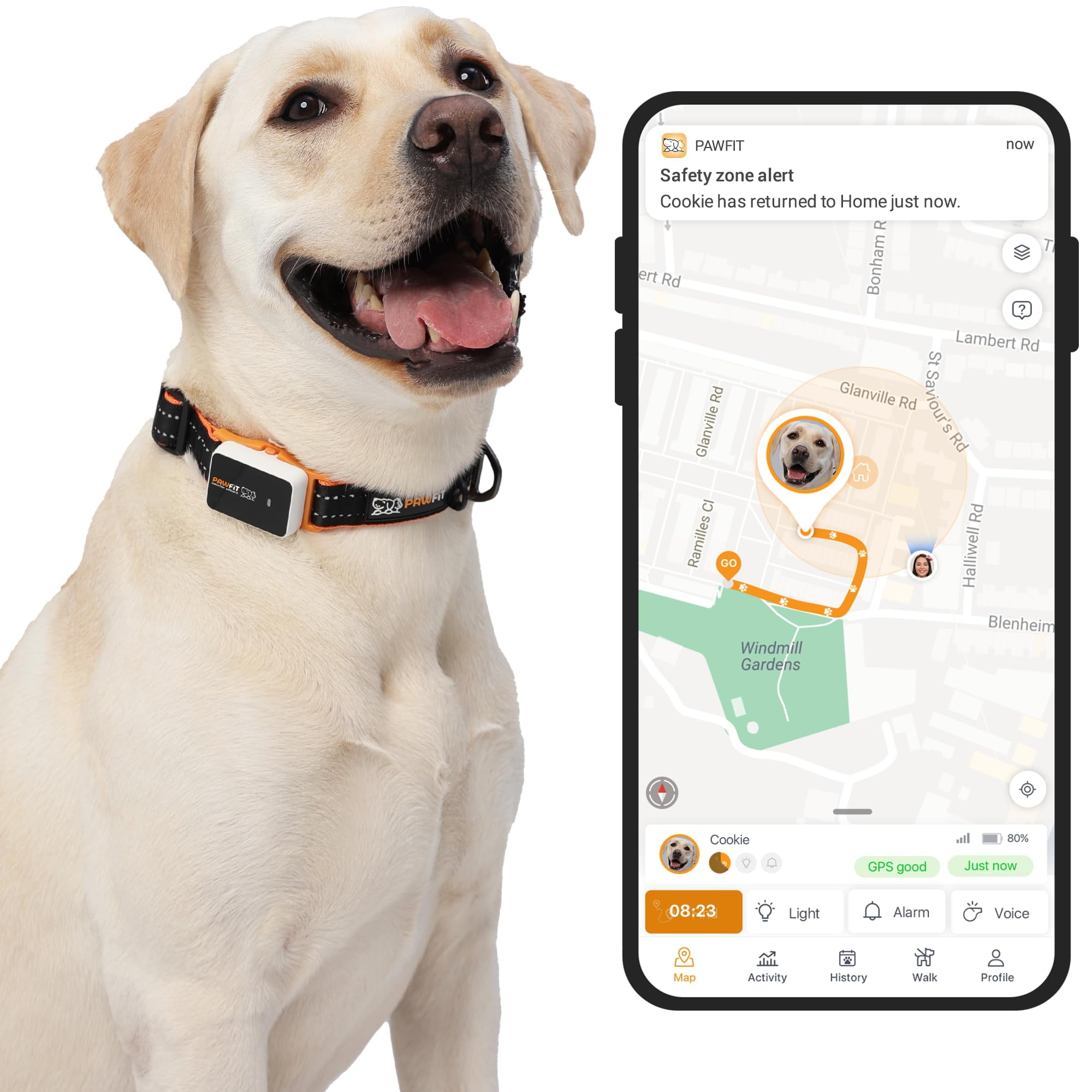 Pawfit 3 GPS Pet MZF22 GPS Dog 4G Live Tracking, Smart Alerts, Fully ...