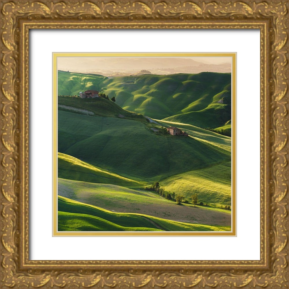 Pawlak, Jarek 26x26 Gold Ornate Wood Framed with Double Matting Museum Art Print Titled - Green ...