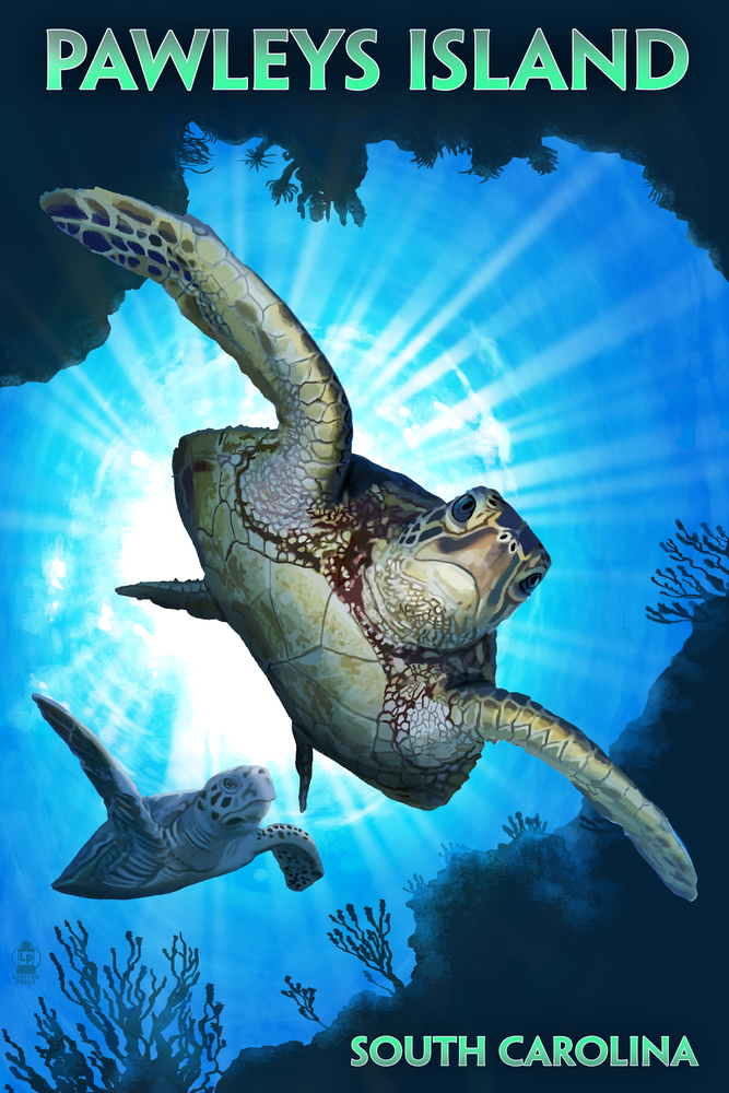 Pawleys Island, South Carolina, Sea Turtles Diving (24x36 Giclee ...