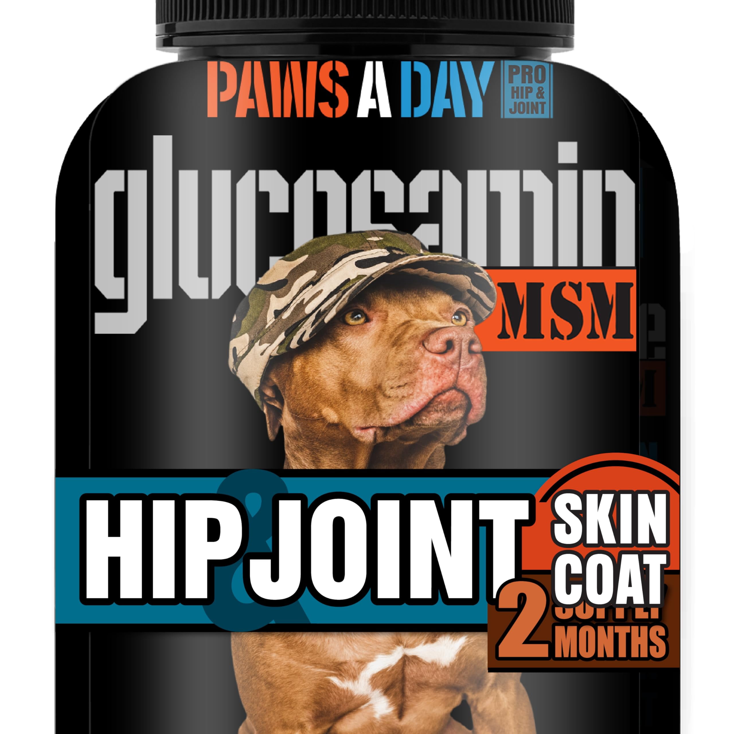Paws A Day Glucosamine for Dogs Hip & Joint Supplement - “Two-in-One ...