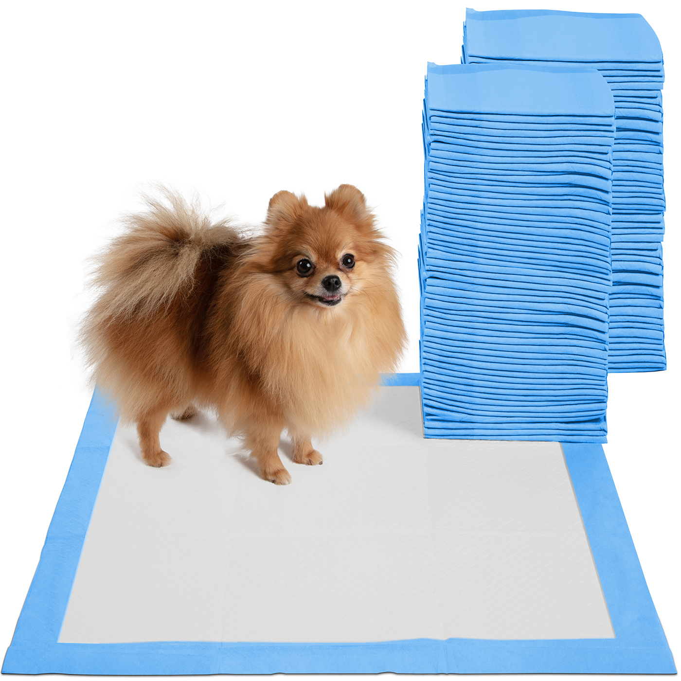 Platinum Care Pads Highly Absorbent Pet Training and Puppy Pads, 50 ...