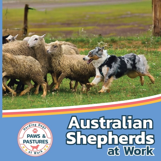 Paws and Pastures: Herding Dogs at Work Australian Shepherds at Work ...