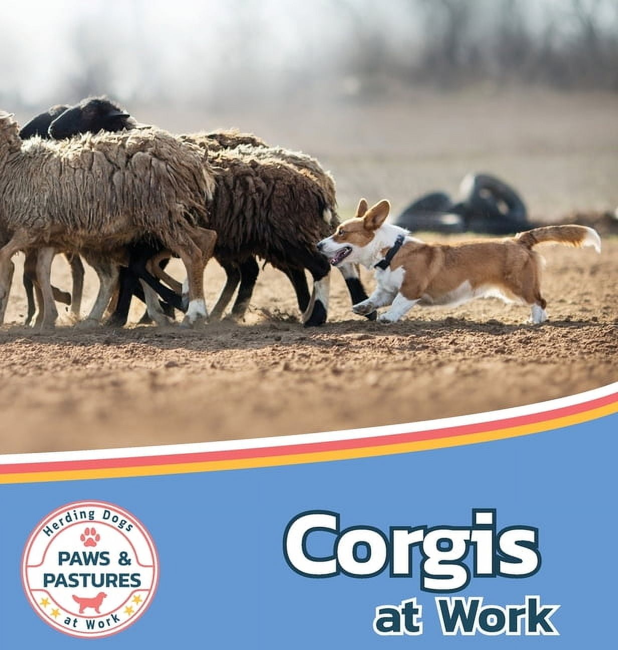 Paws and Pastures: Herding Dogs at Work Corgis at Work, Book 3 ...