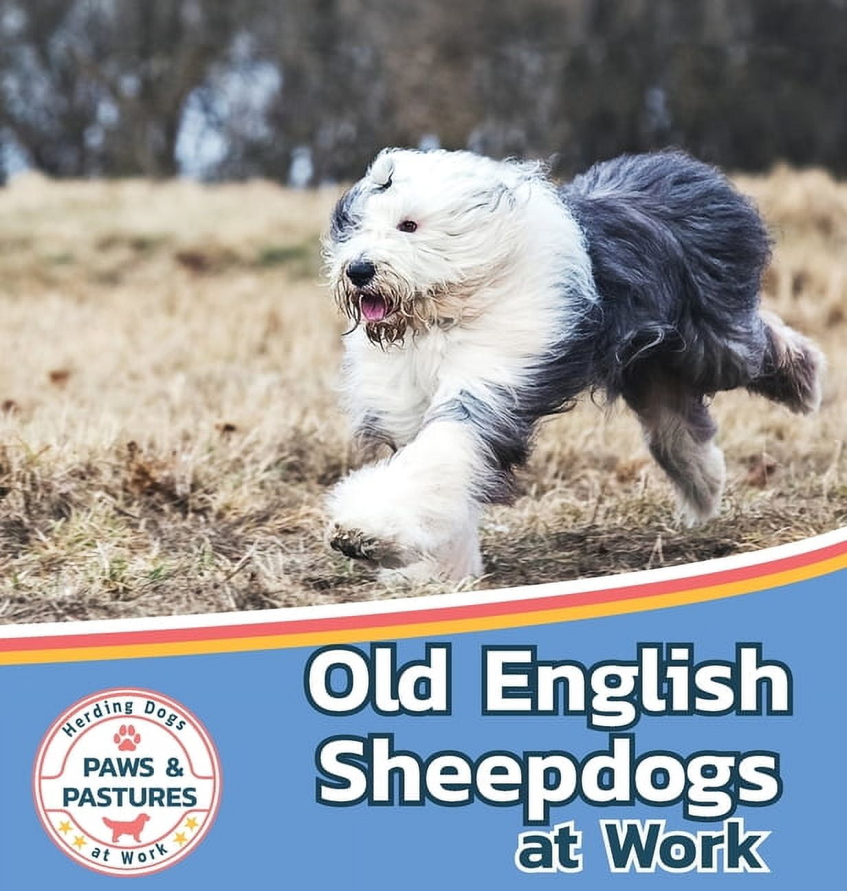 Paws and Pastures: Herding Dogs at Work Old English Sheepdogs at Work ...