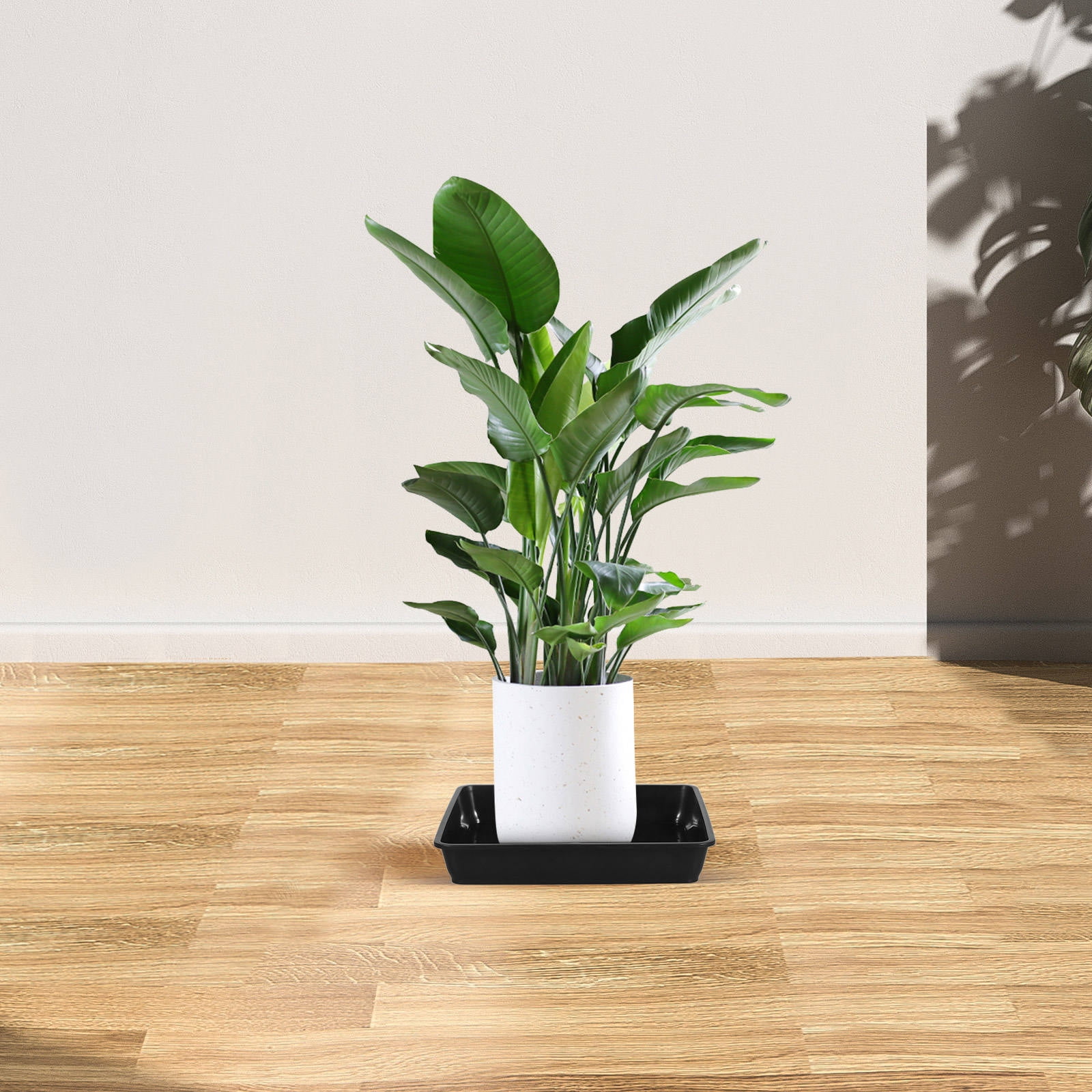 Pawsdot 12Pcs Plant Saucers Square Plant Plate Plastic Black for ...