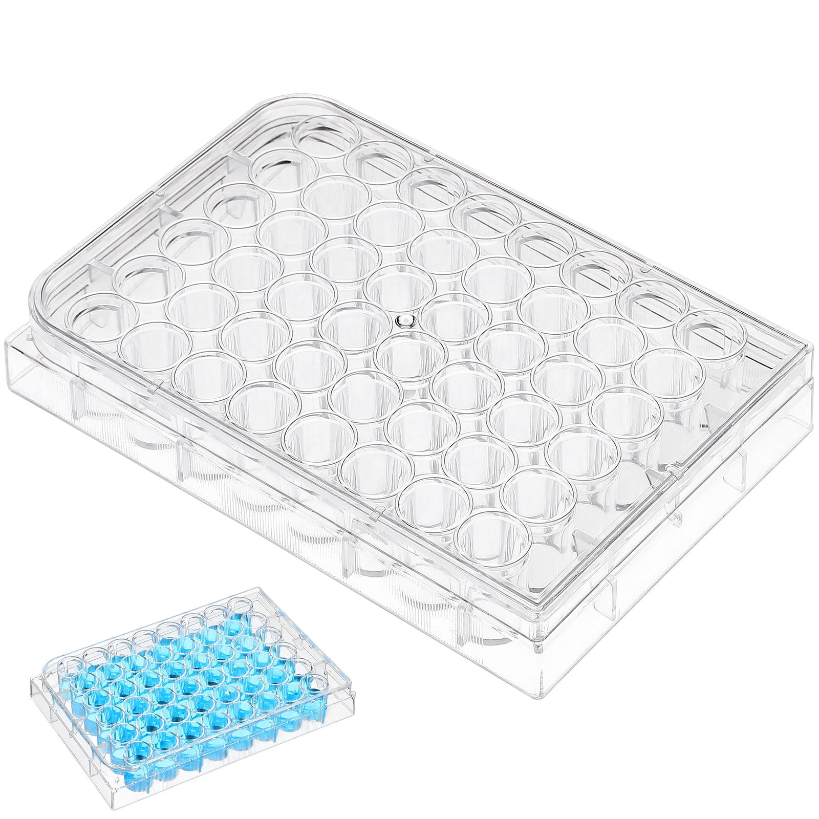Pawsdot Capsule Lab Tray Cell Culture Container Transparent Plastic ...