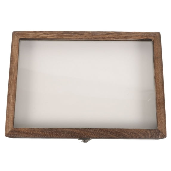 Pawsdot Wooden Insect Display Box Coffee High Transparency Multi ...