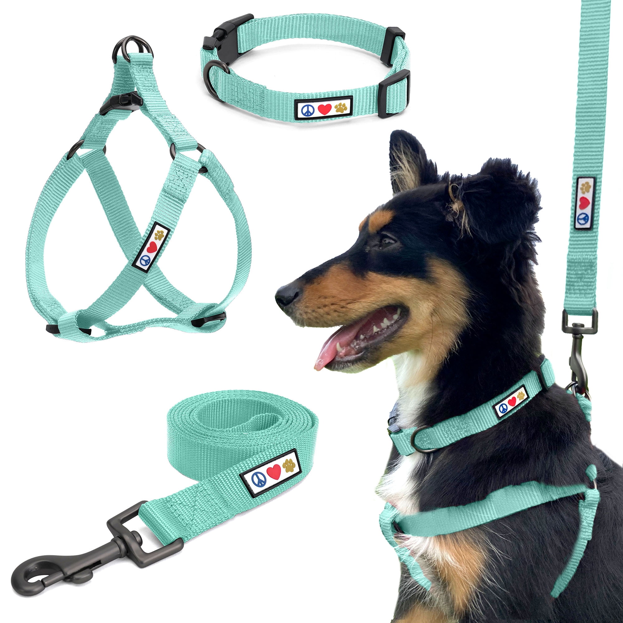 Pawtitas 3-in-1 Small Dog Harness Dog Collar & Dog Leash For Small Dogs ...